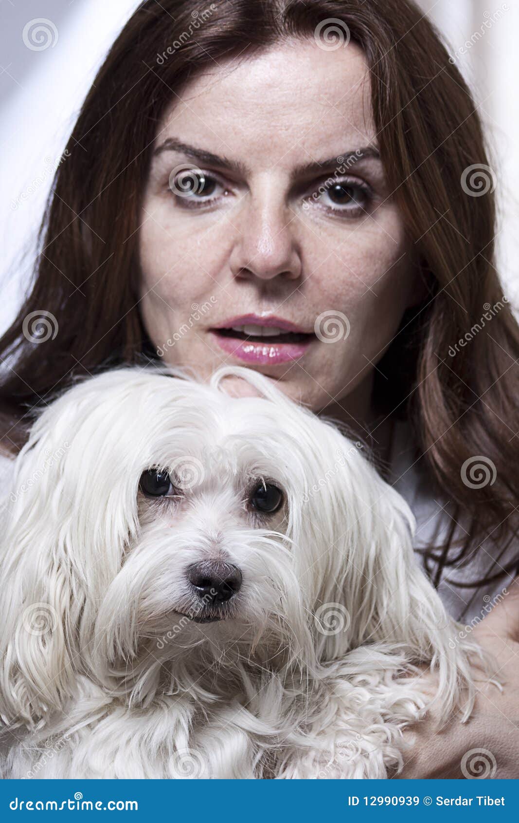 Lady & Dog stock image. Image of doggy, puppy, lady - 12990939