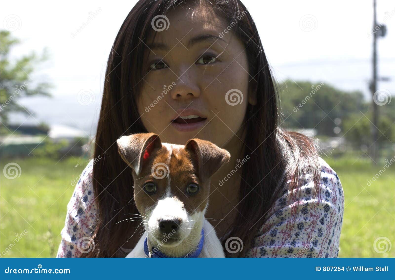Lady with dog stock photo. Image of bokeh, sweet, middleage - 807264