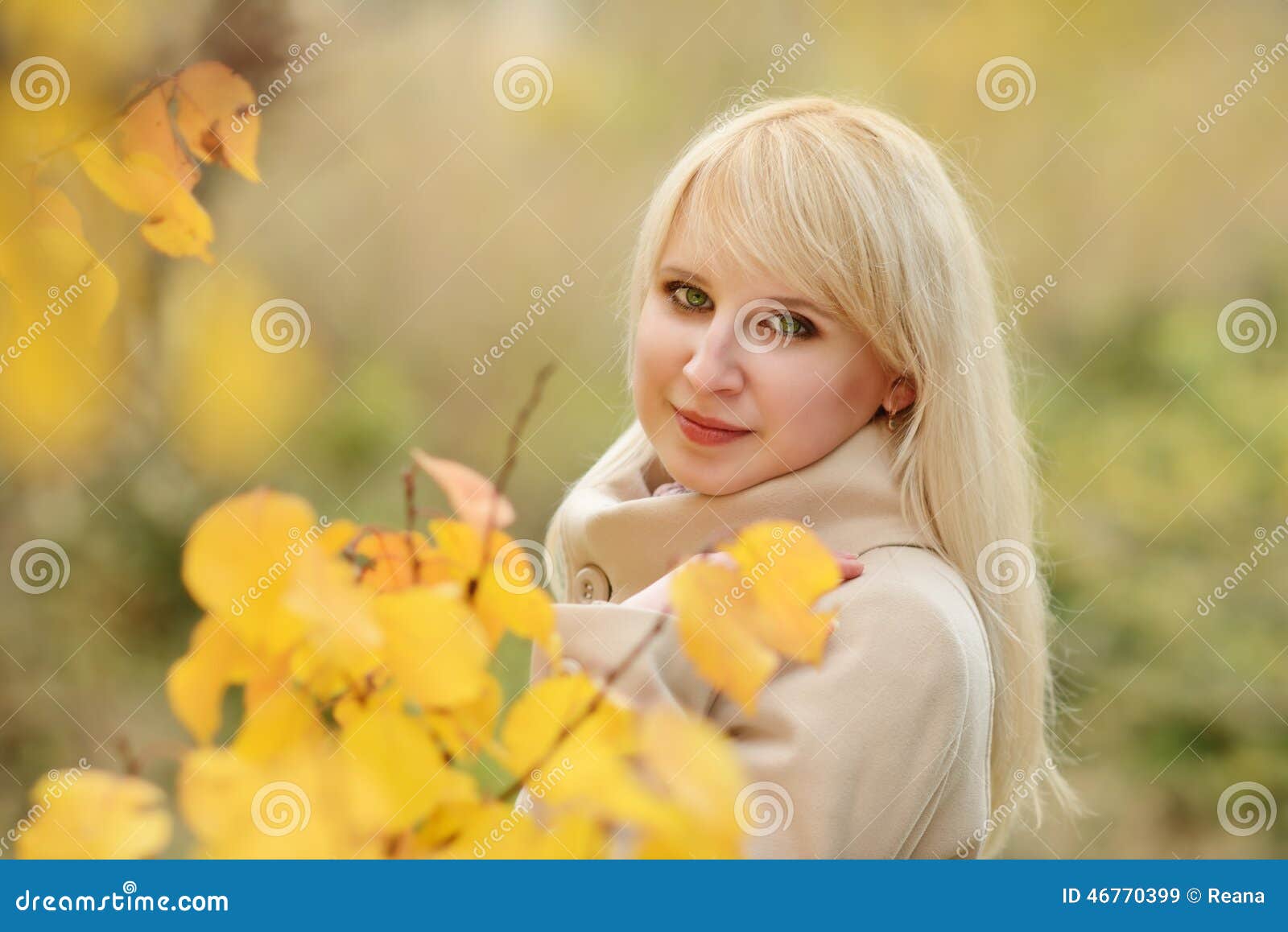 Lady in fall stock image. Image of gorgeous, girl, female - 46770399