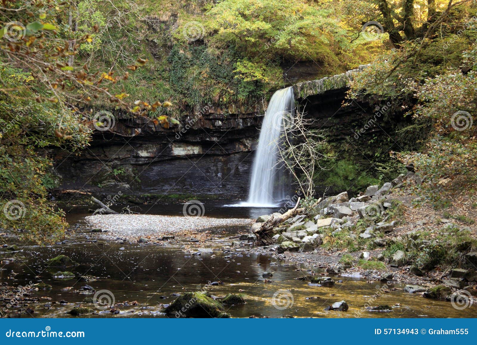 Sgwd Gladus or Lady Falls Near Pontneddfechan South Wales UK Stock ...