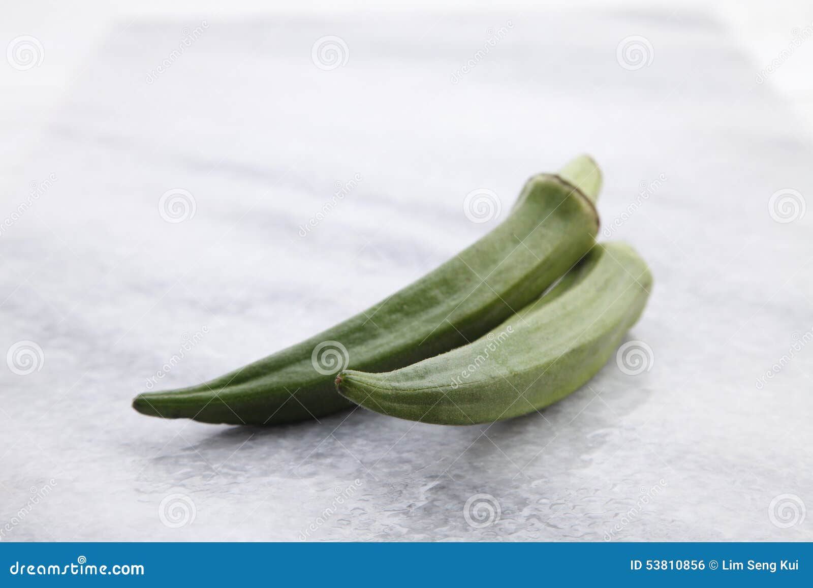 Lady finger stock photo. Image of vegetarian, white, harvest - 53810856