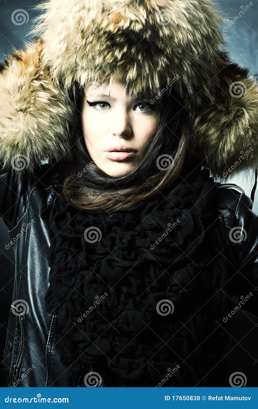 Lady in fur cap stock photo. Image of dark, portrait - 17650838