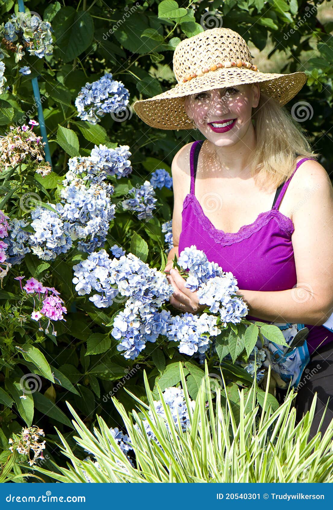 Lady Gardening in Sun stock image. Image of gardener - 20540301