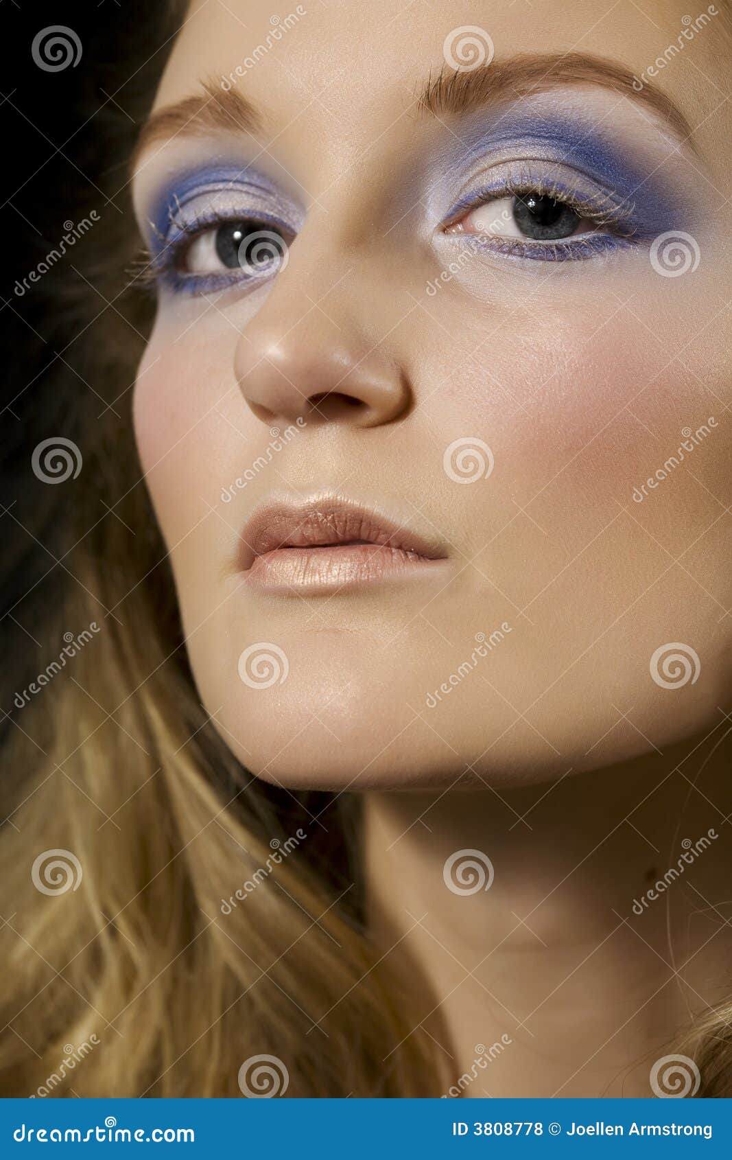 Lady glamour makeup stock photo. Image of look, attractive - 3808778