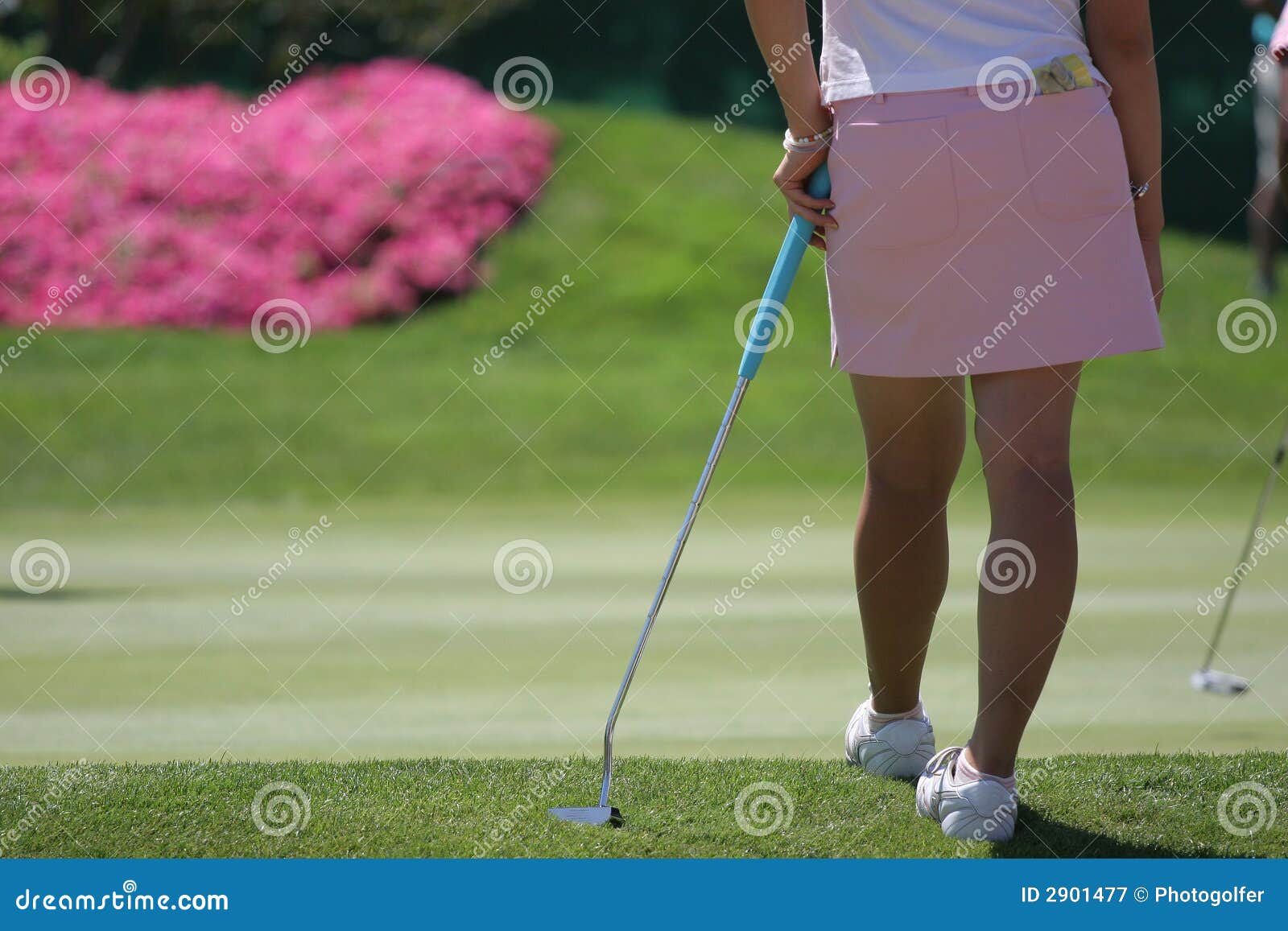 Lady golf putting stock image. Image of pink, swing, lake - 2901477