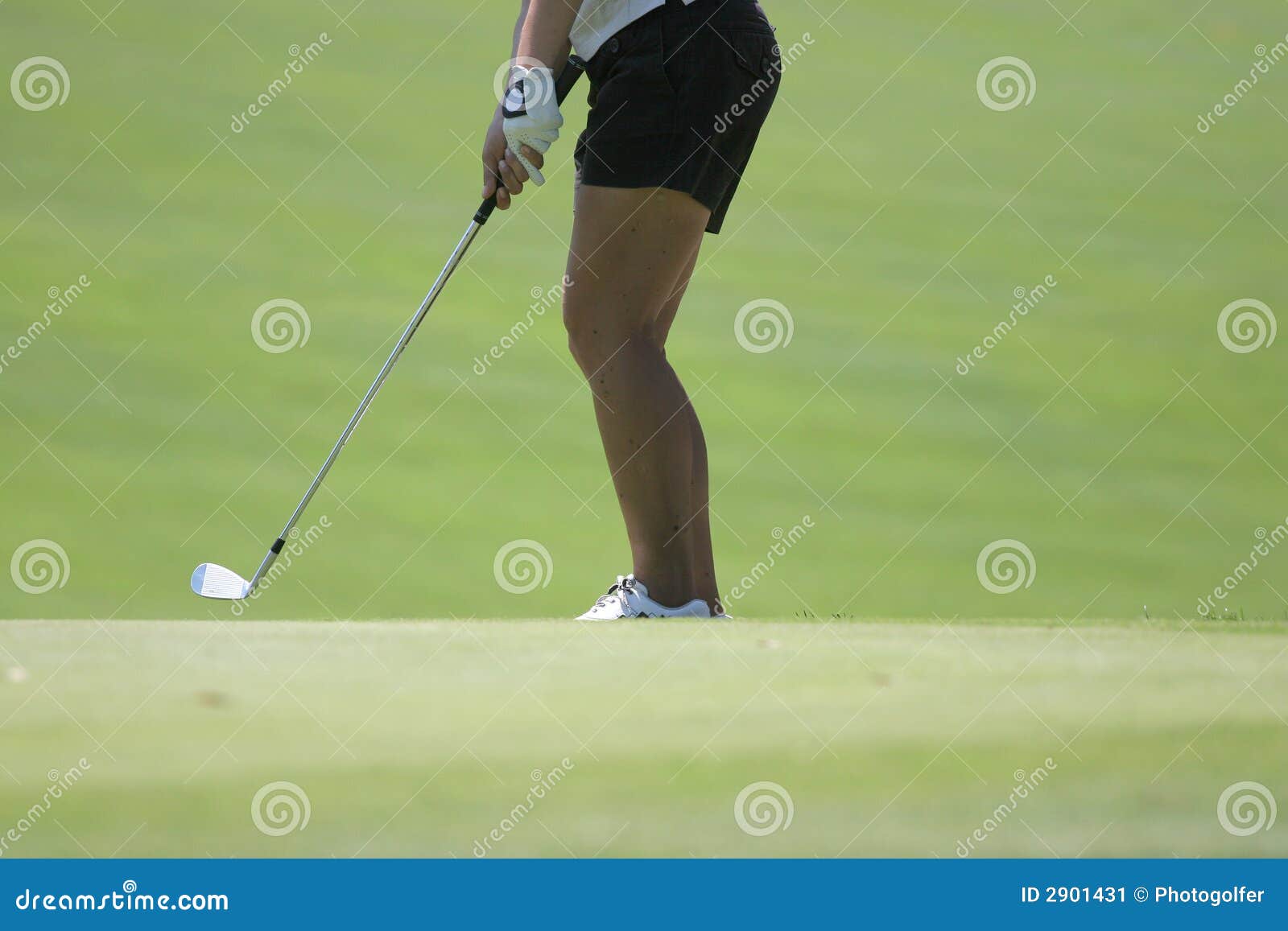 Lady Golf Swing Picture. Image: 2901431
