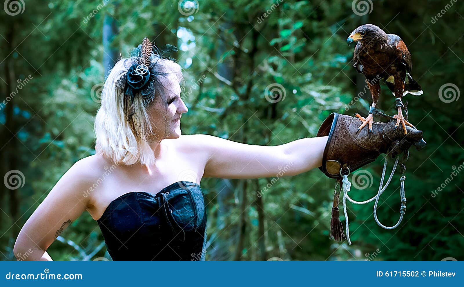 Wonderful Harris Stock Photos - Free & Royalty-Free Stock Photos from ...