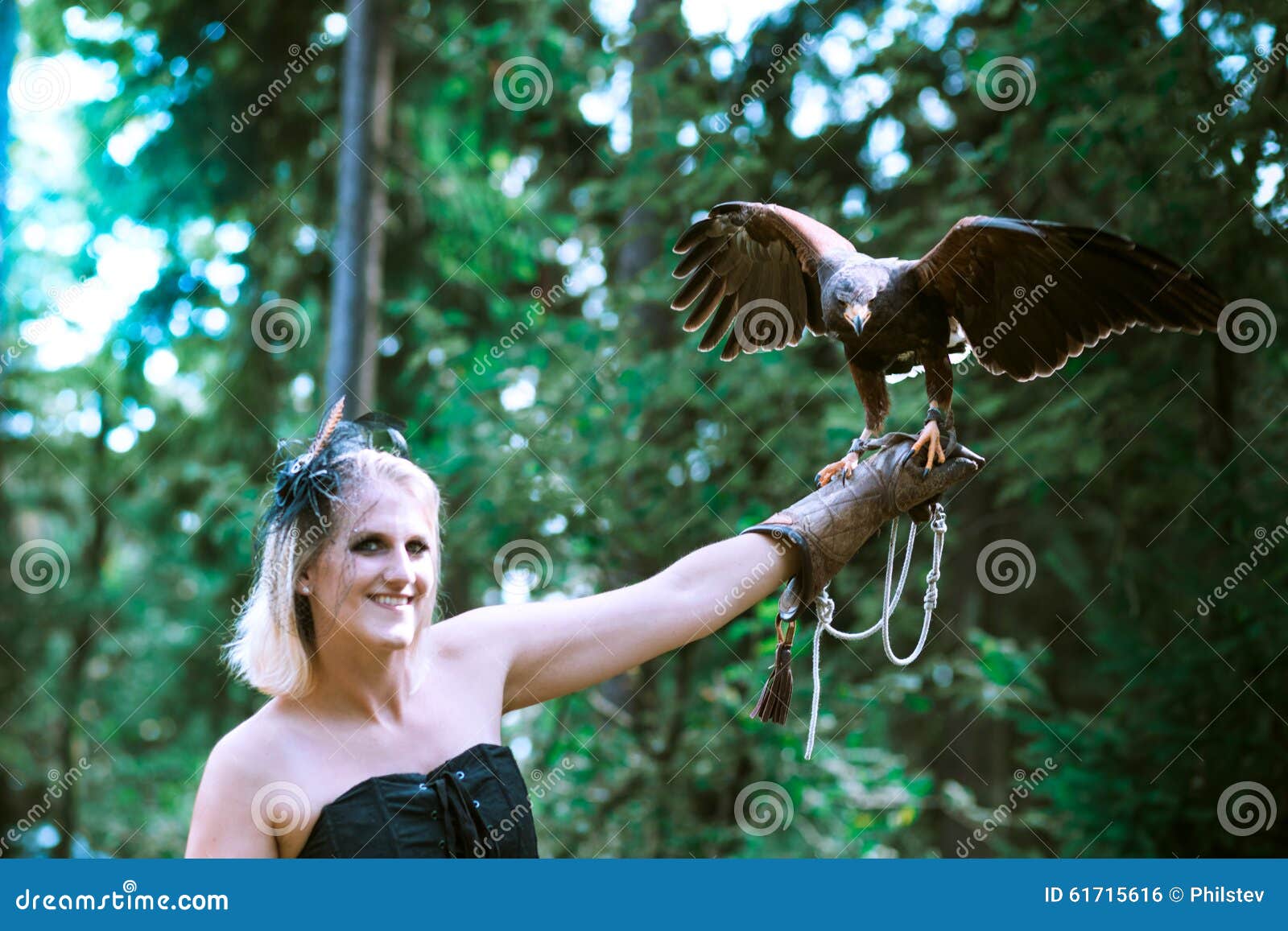 The Lady with the Harris Hawk Stock Photo - Image of lady, mensch: 61715616