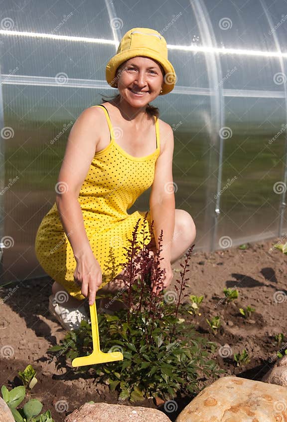 Lady in her garden stock photo. Image of gardening, nature - 18056444