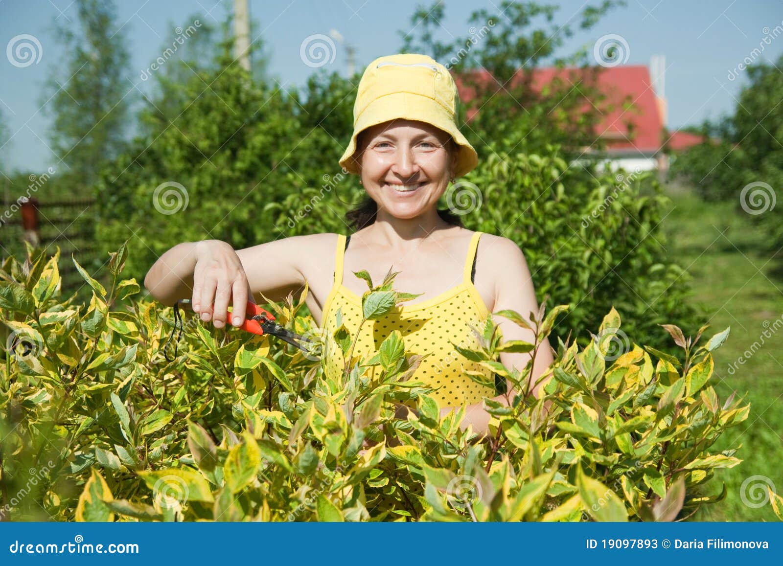 Lady in her garden stock image. Image of action, female - 19097893