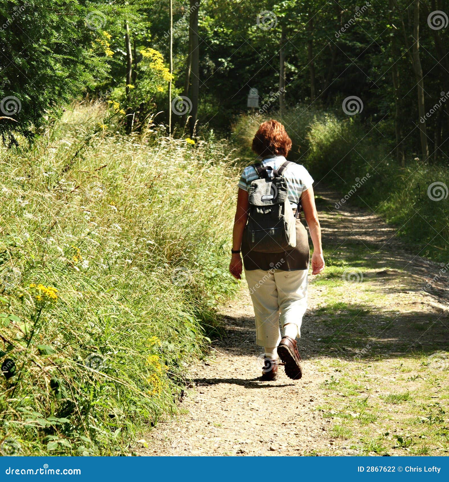 Lady Hiker stock photo. Image of woods, people, lady, walking - 2867622