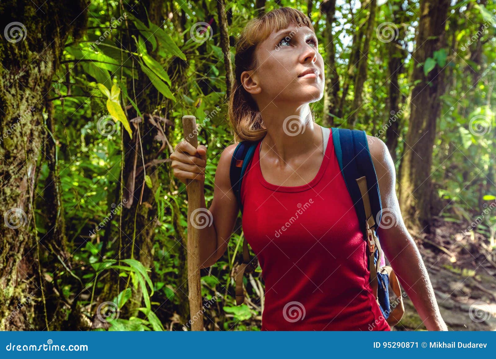 Lady hiker in the forest stock image. Image of person - 95290871