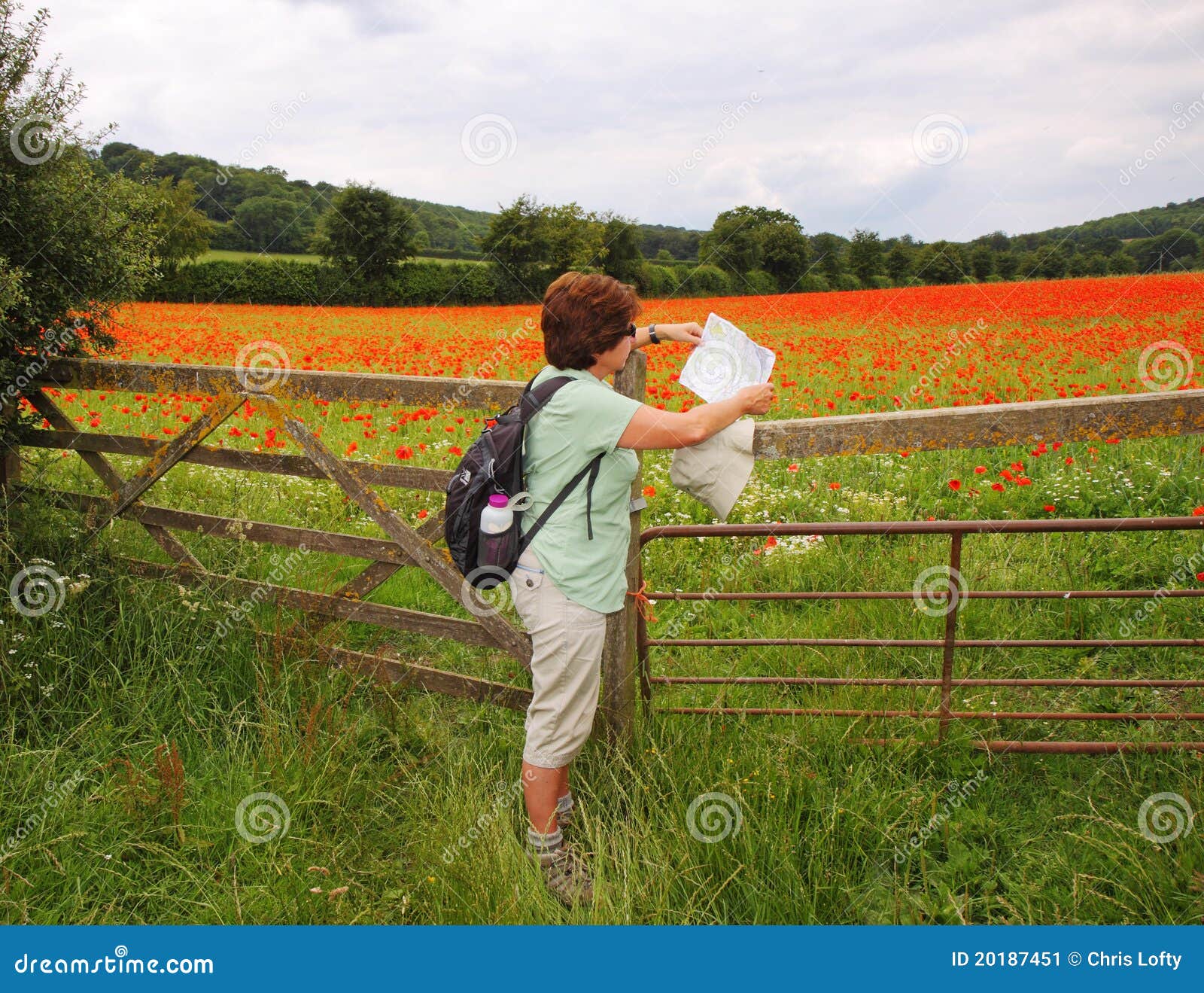 Lady Hiker Reading a Map by a Field of Red Poppies Stock Image - Image ...