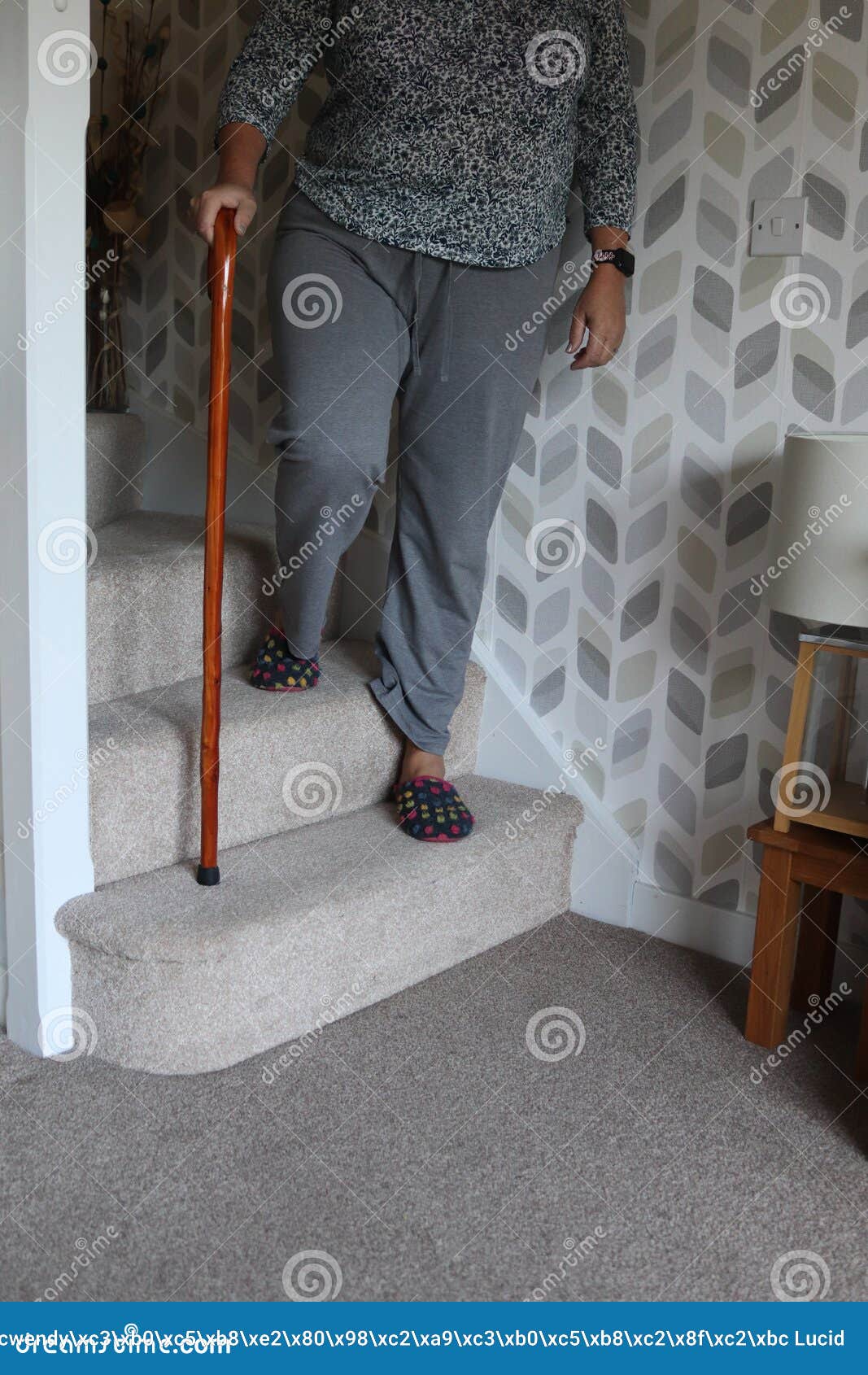 Mobility Help in the Home with a Walking Stick Stock Photo - Image of ...