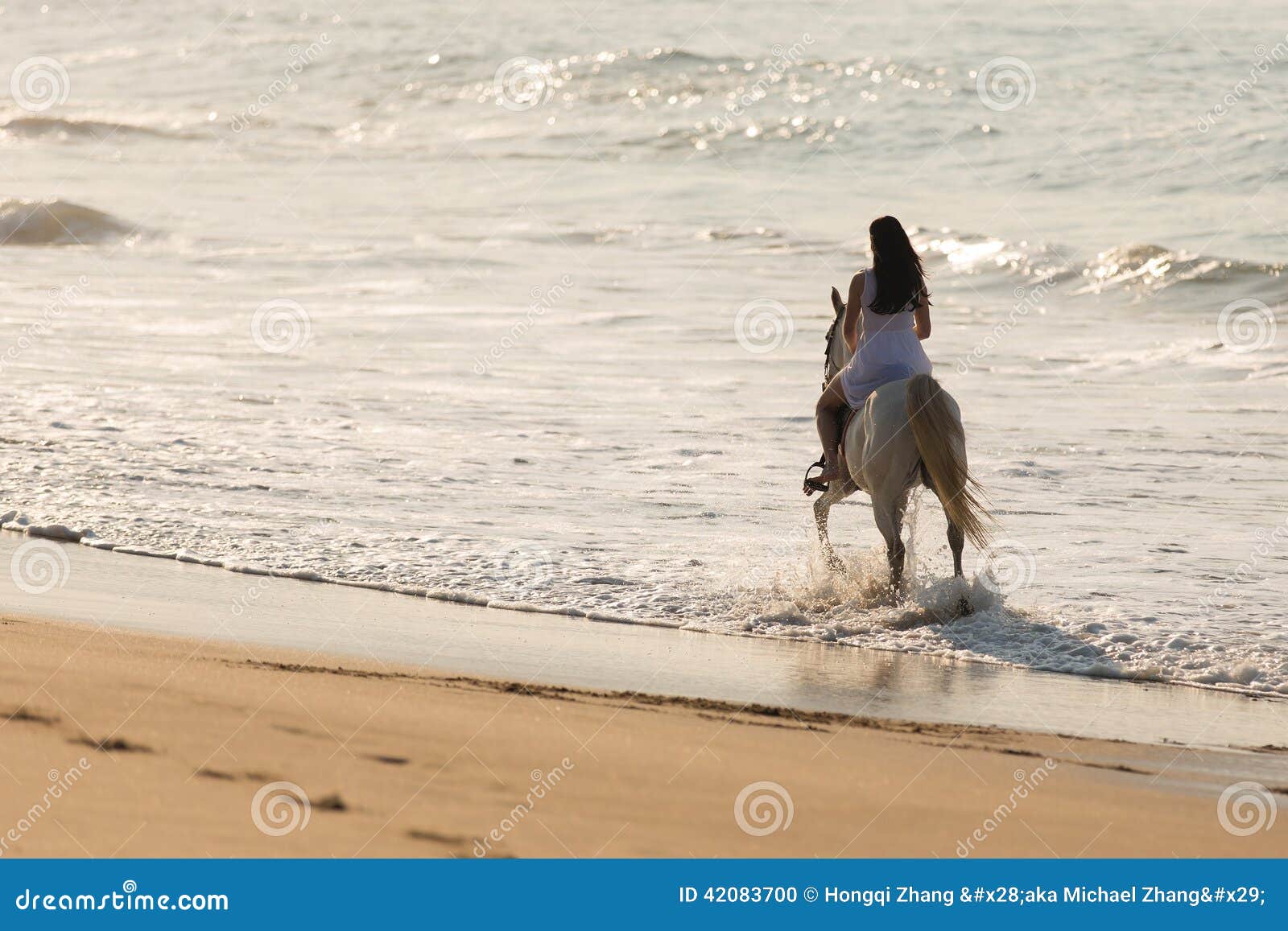 Lady horse ride beach stock photo. Image of morning, joyful - 42083700