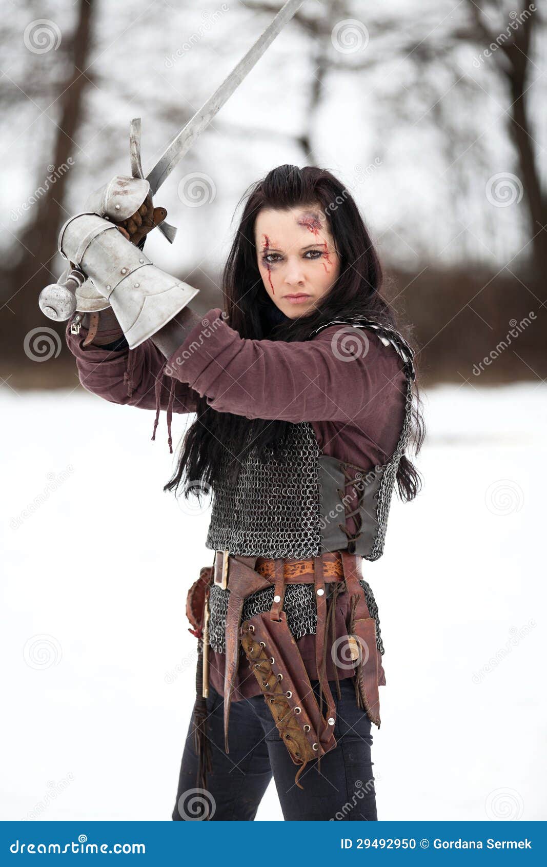 Lady knight stock photo. Image of blood, knight, ancient - 29492950