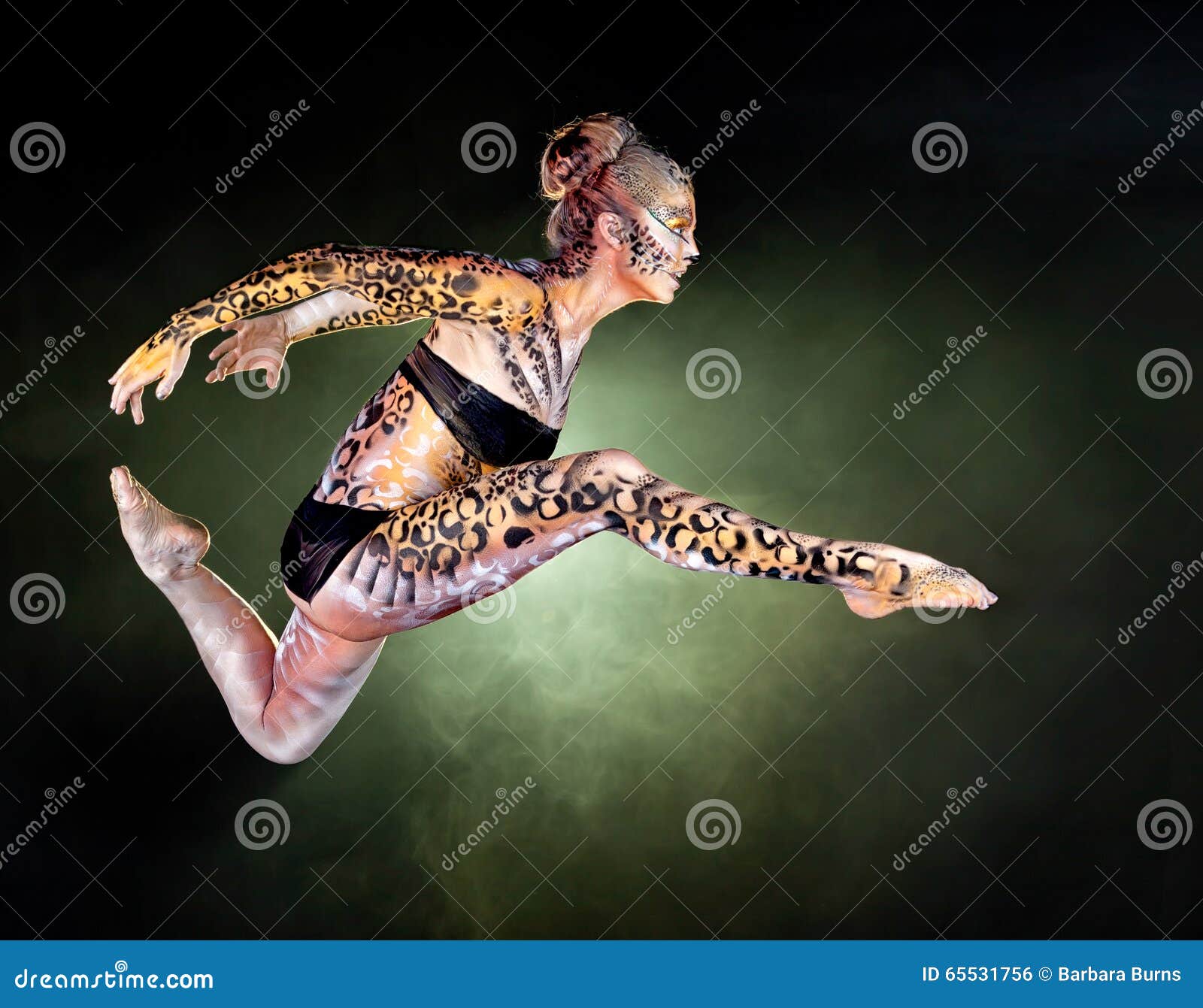 Lady Leopard BB124727-2 stock photo. Image of intricate - 65531756