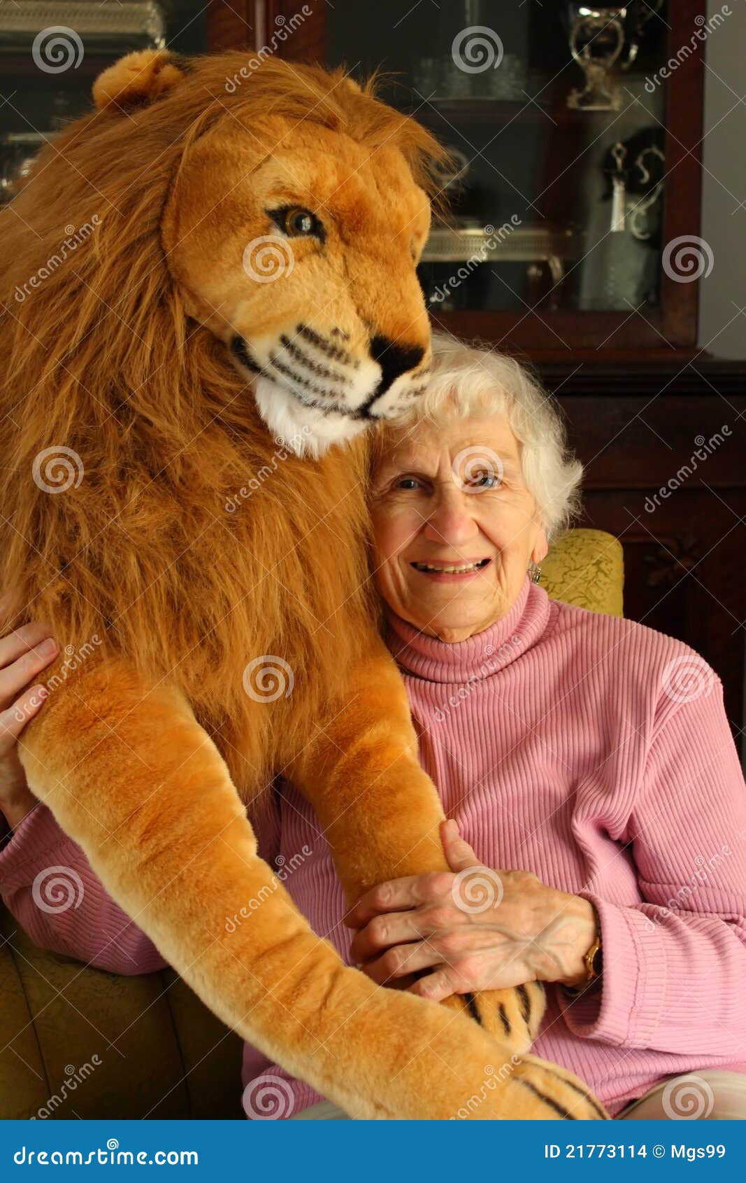 The Lady and the Lion stock photo. Image of protected - 21773114