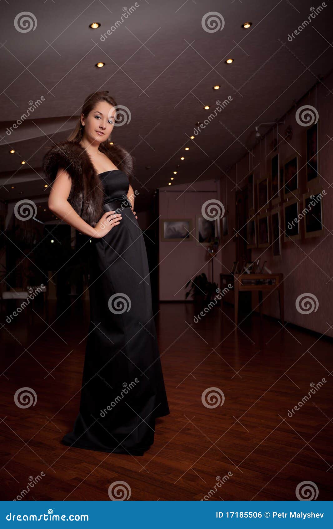 Lady in luxury hall stock photo. Image of classic, decoration - 17185506