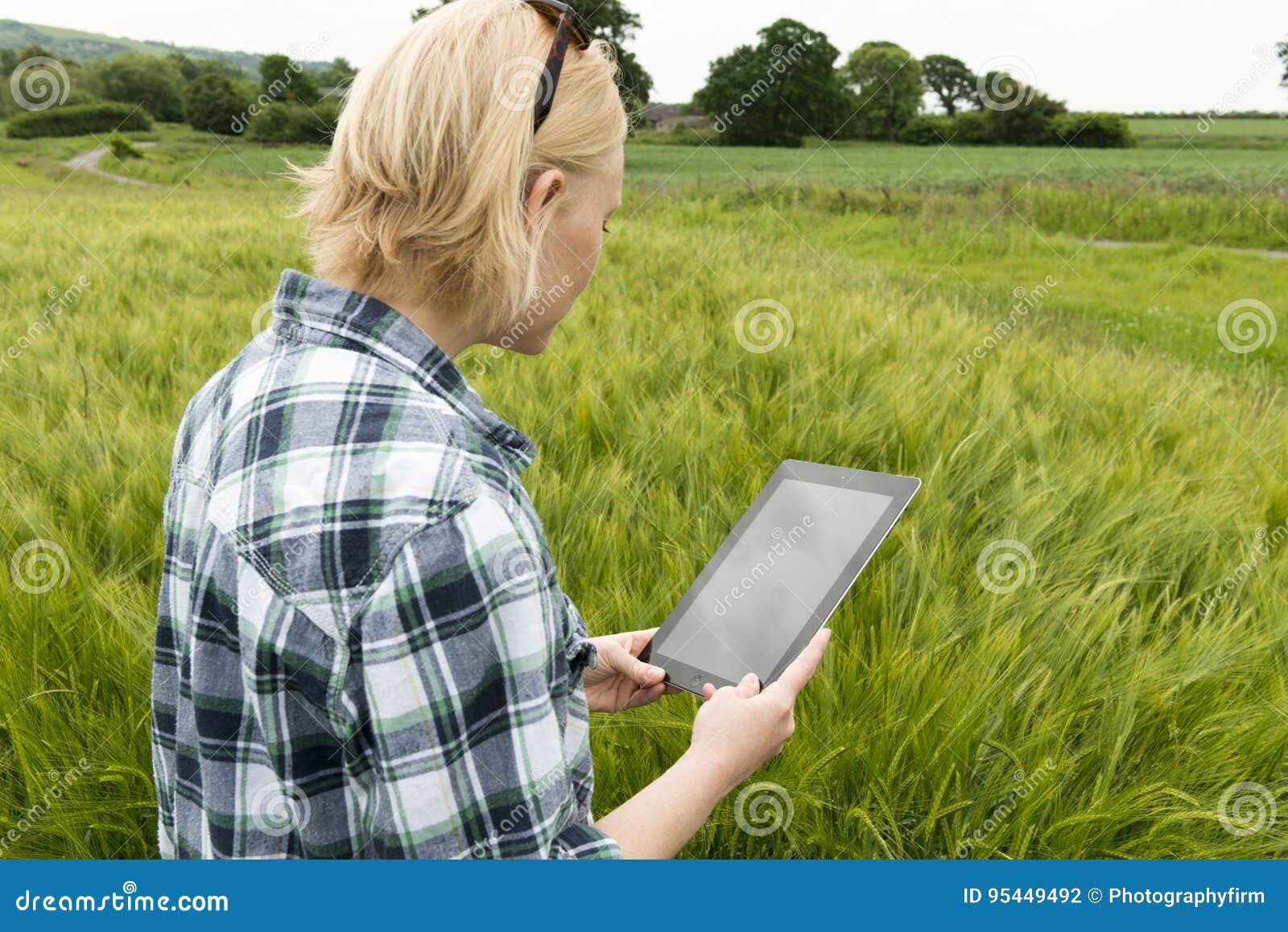 Lady in a Meadow Staring at Blank Screen of Tablet Computer Stock Photo ...