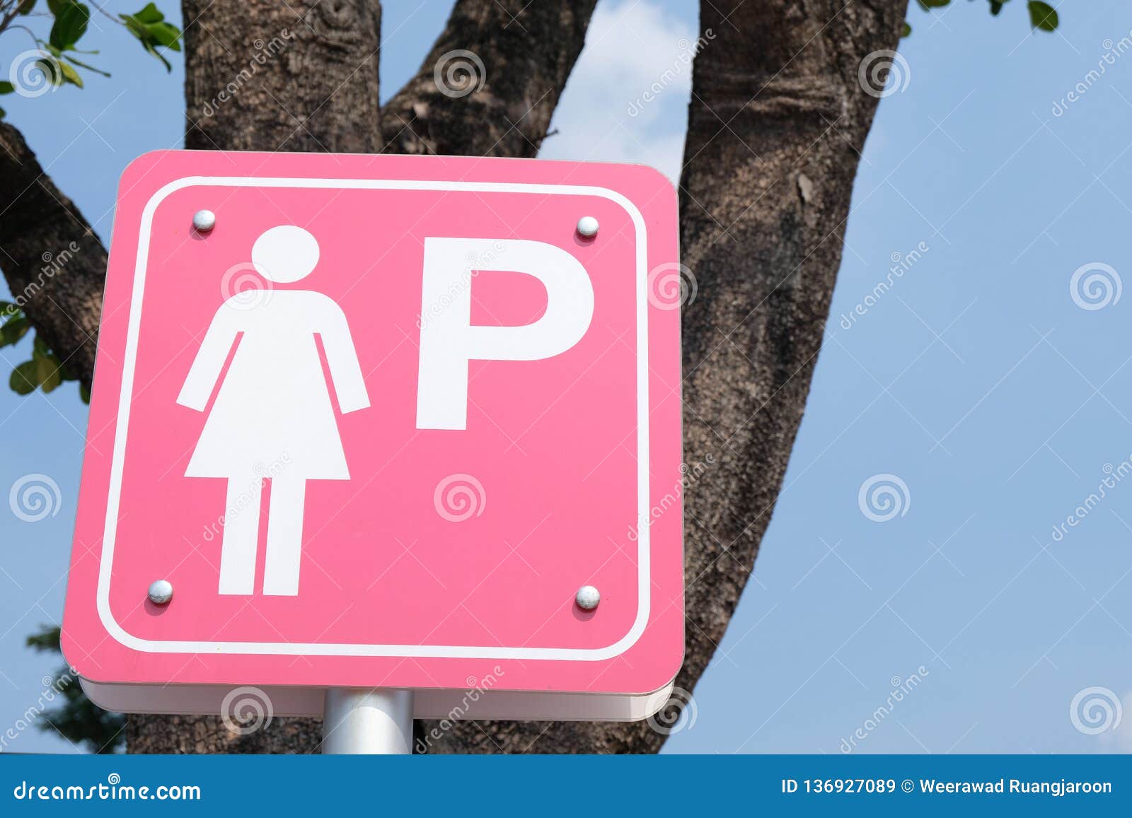 Lady Parking Sign on Blue Sky Background. Stock Image - Image of female ...