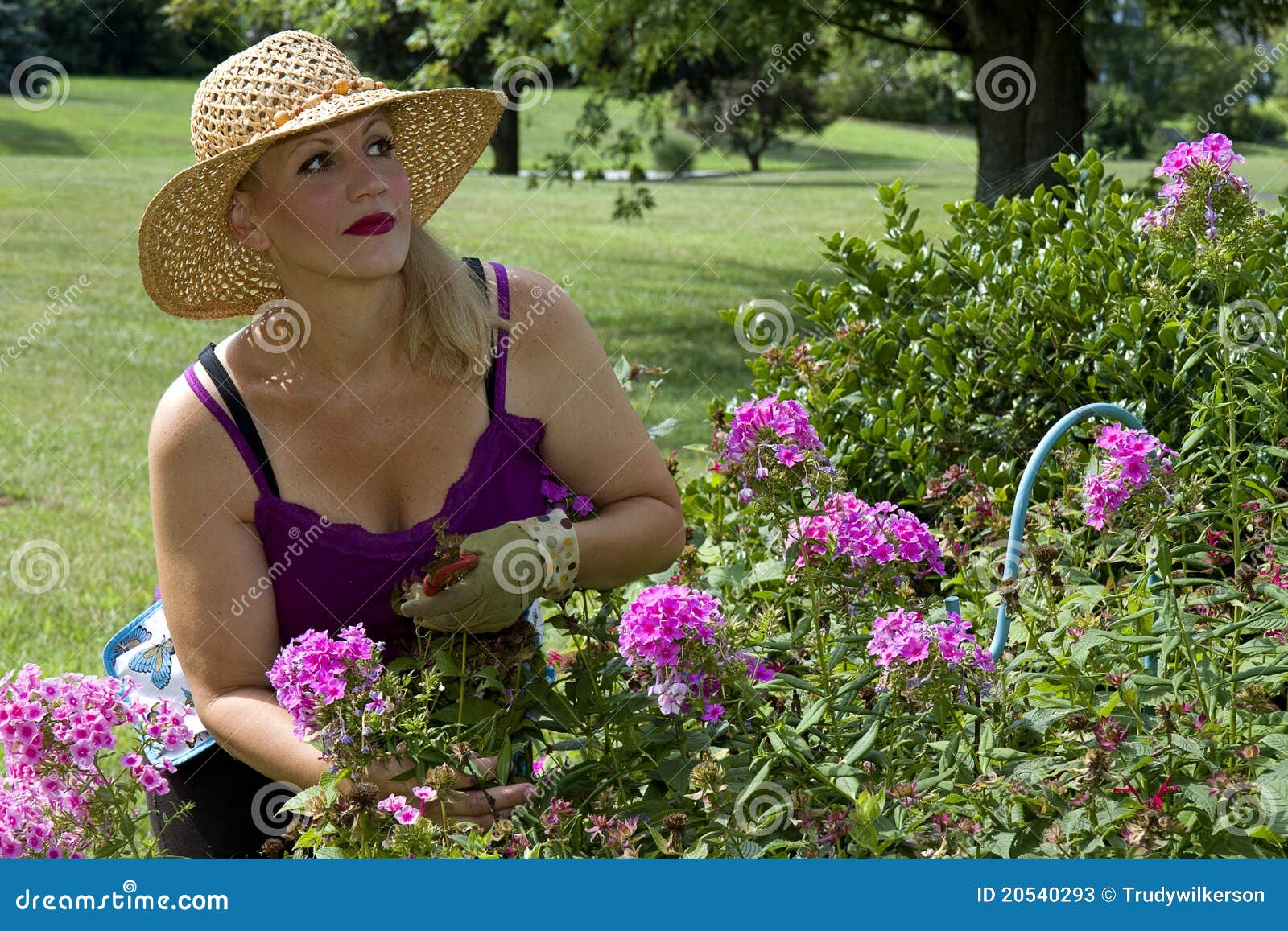 Lady Pausing in Garden stock image. Image of adult, home - 20540293