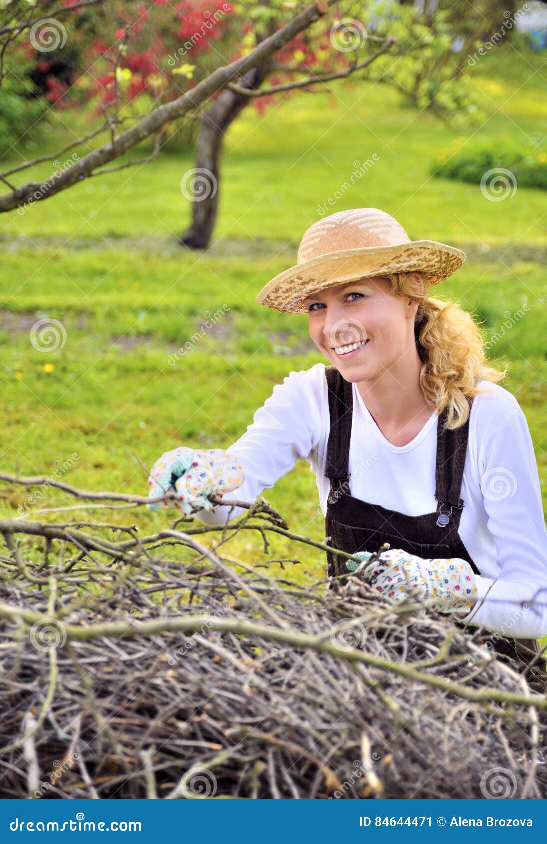 Young Woman Working in Orchard, after Tree Pruning, Pile of Cut ...