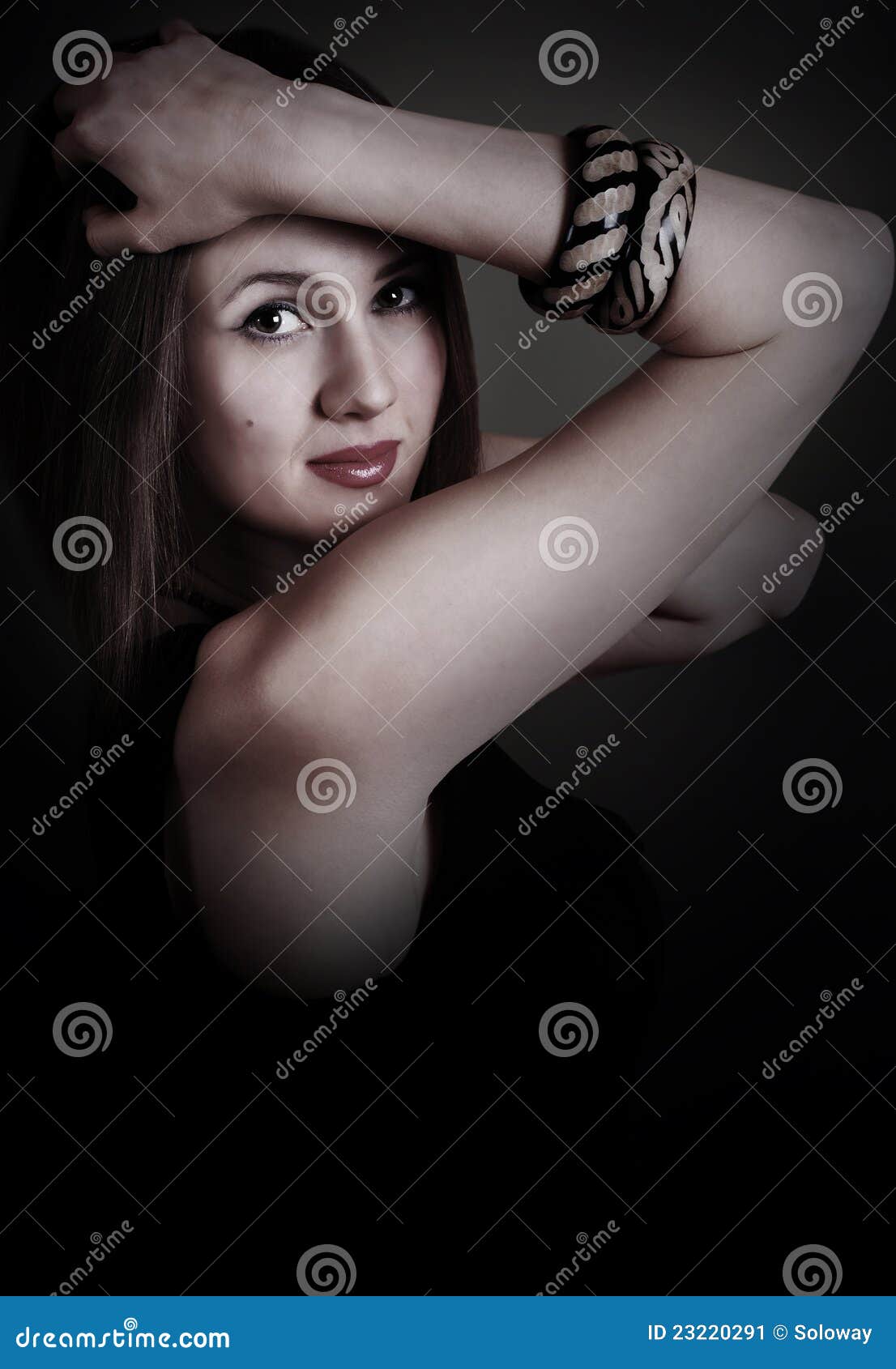 Lady Portrait in Dramatic Light Stock Image - Image of elegance, look ...