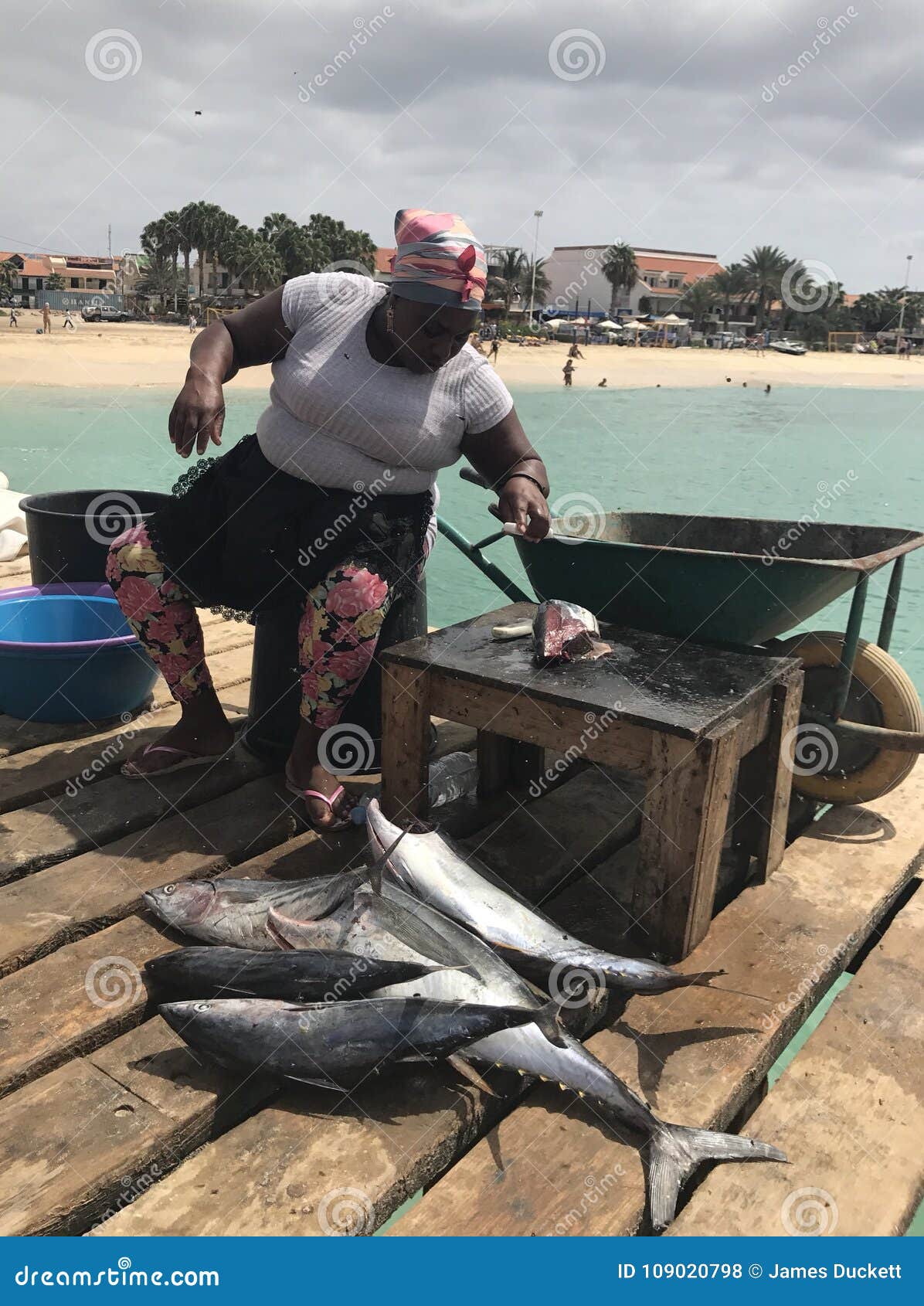 Tuna fish on dock editorial stock photo. Image of lady - 109020798