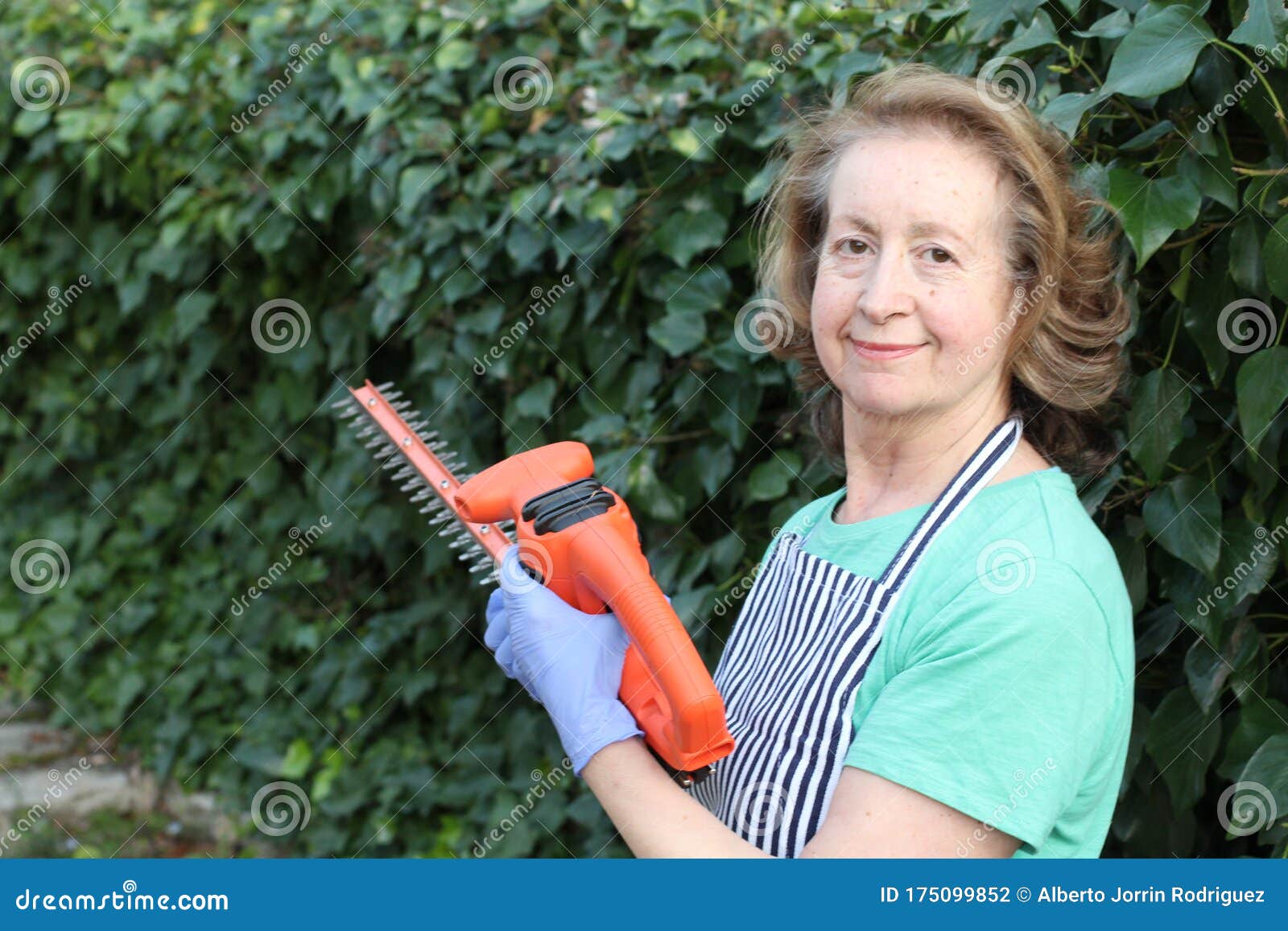 Lady Pruning with Electrical Tool Stock Photo - Image of hedge, garden ...