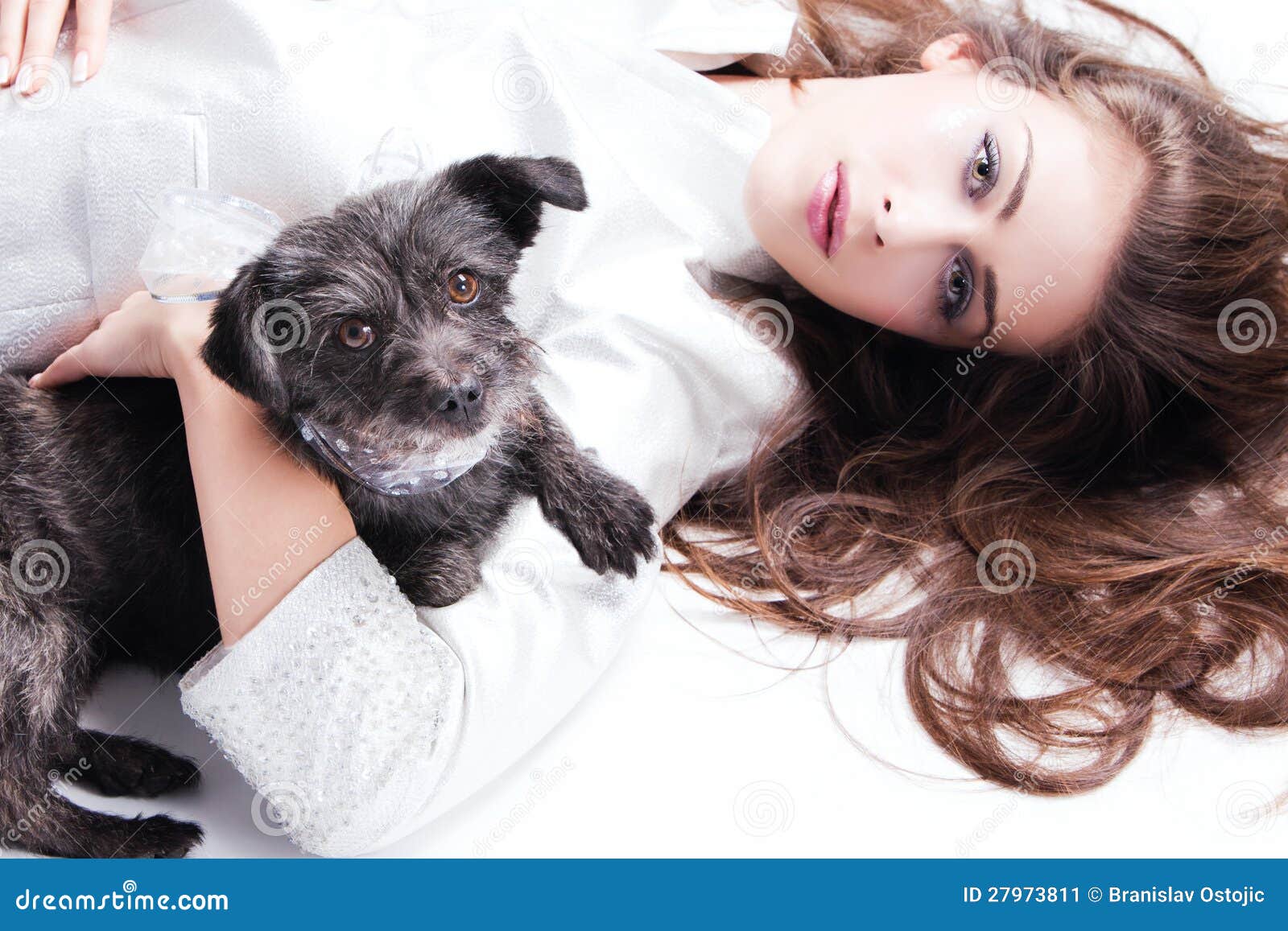 Lady and puppy stock image. Image of studio, woman, elegant - 27973811
