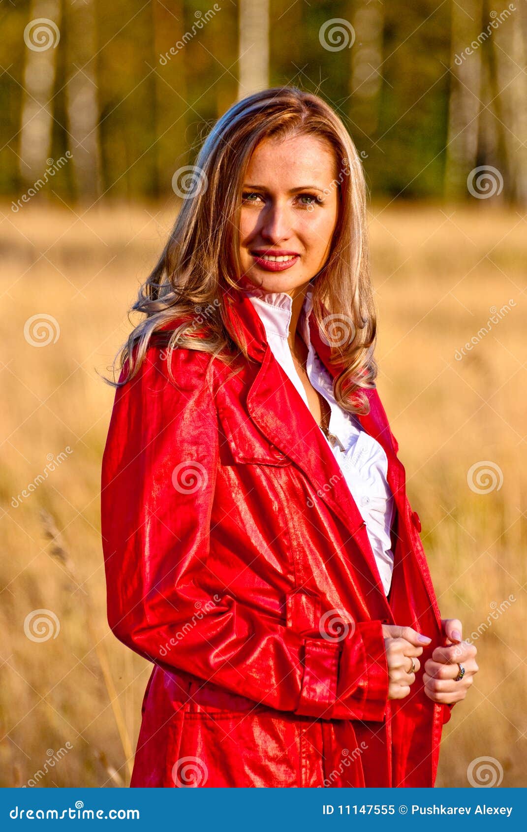 Lady in red stock image. Image of modern, cheerful, face - 11147555