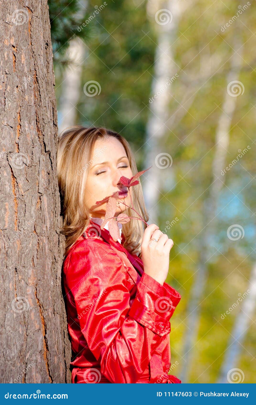 Lady in red stock image. Image of sensuality, sexual - 11147603