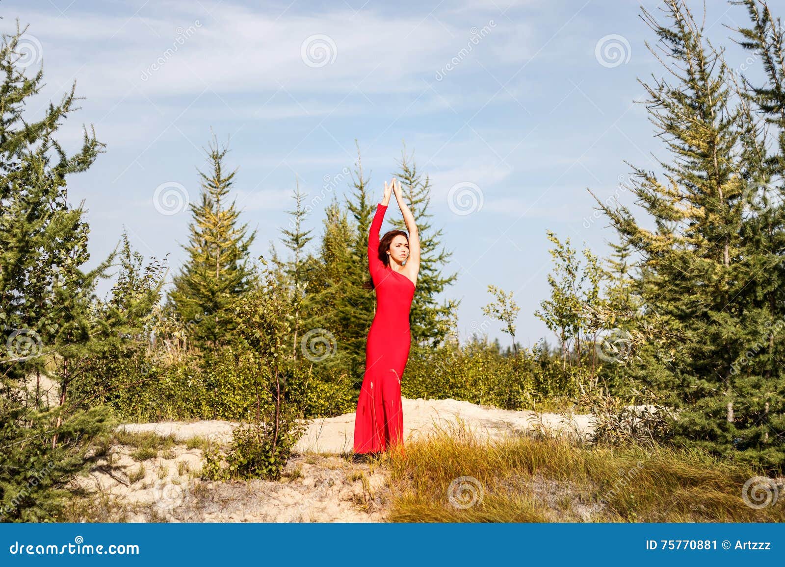 Lady in a Red Dress in the Forest Stock Image - Image of girl, beauty ...