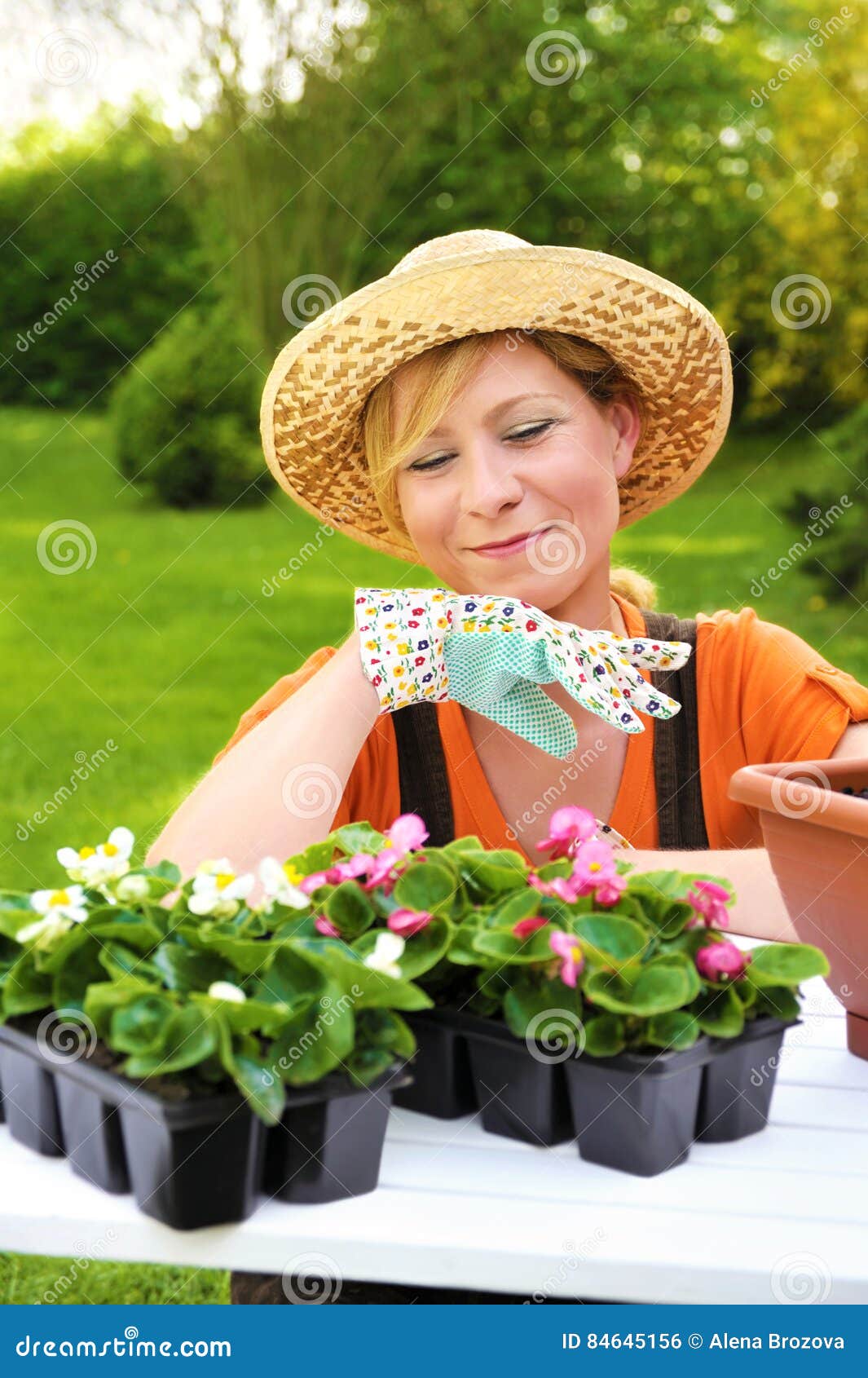 Young Woman Planting Flower Seedlings, Gardening in Spring, Planting ...