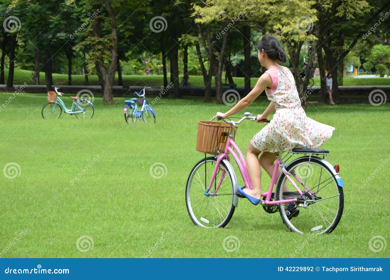 Lady Riding Bicycle stock photo. Image of grass, bike - 42229892