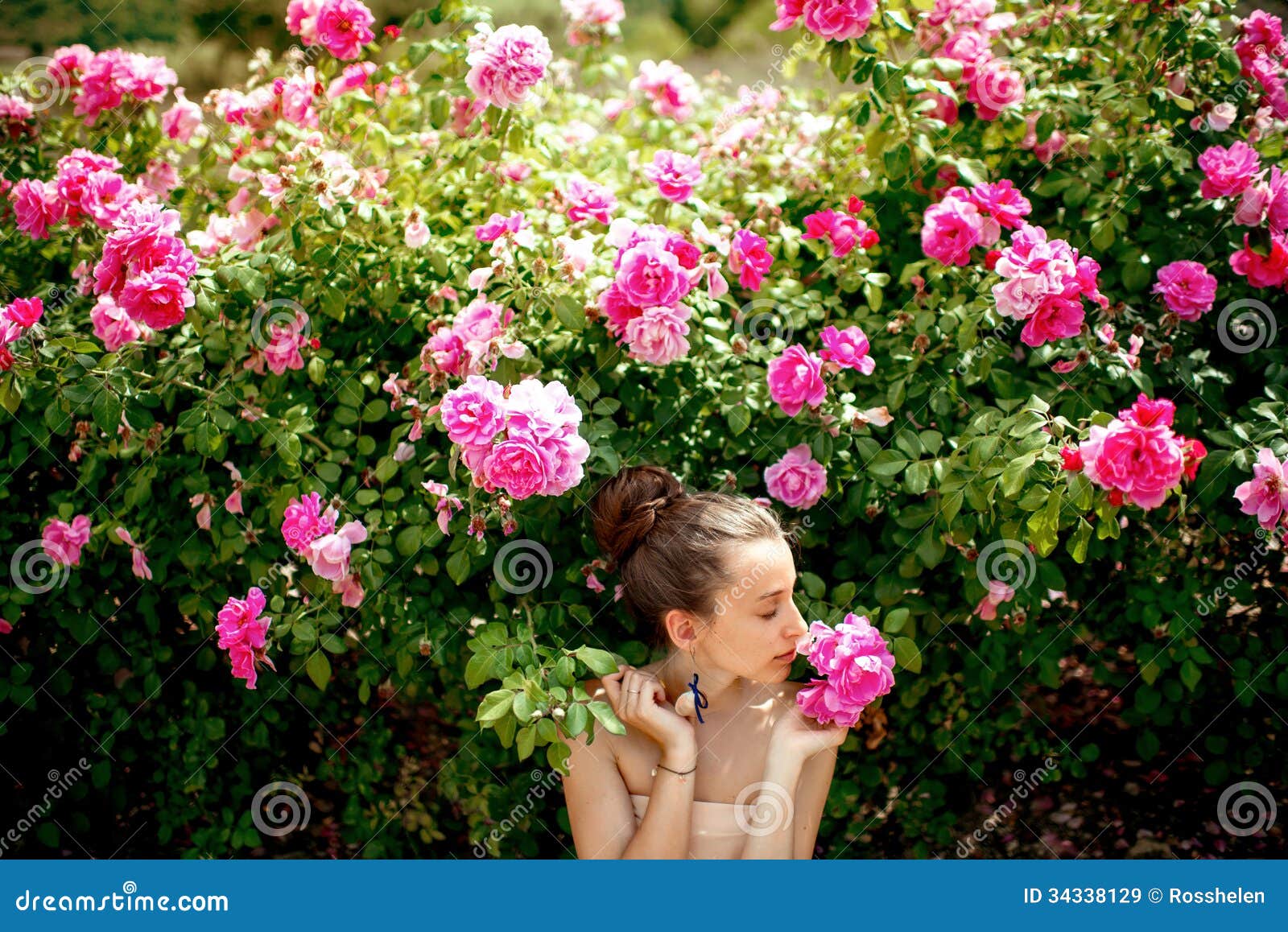 Lady with roses stock image. Image of flower, hair, pink - 34338129