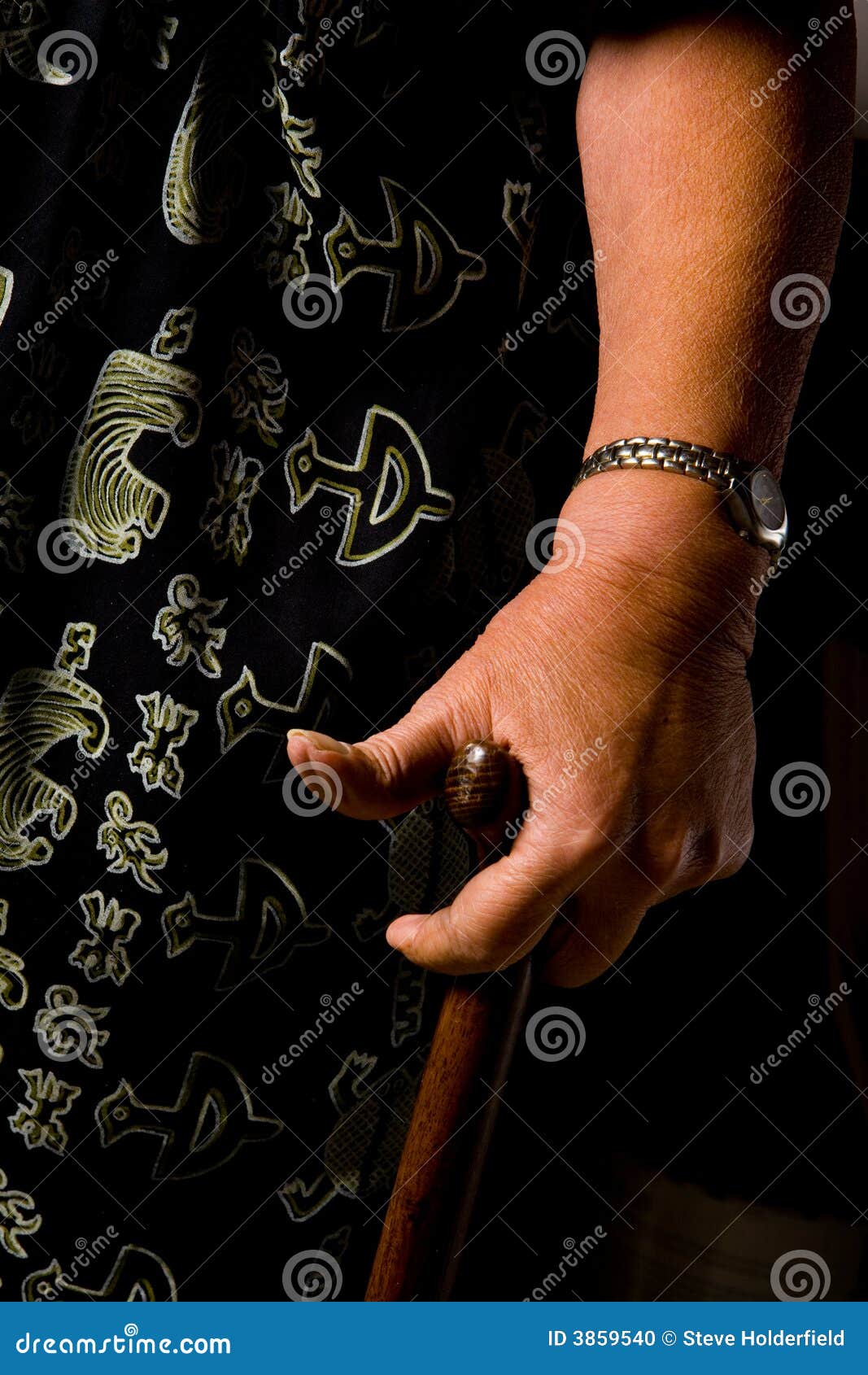 Lady's Cane Picture. Image: 3859540