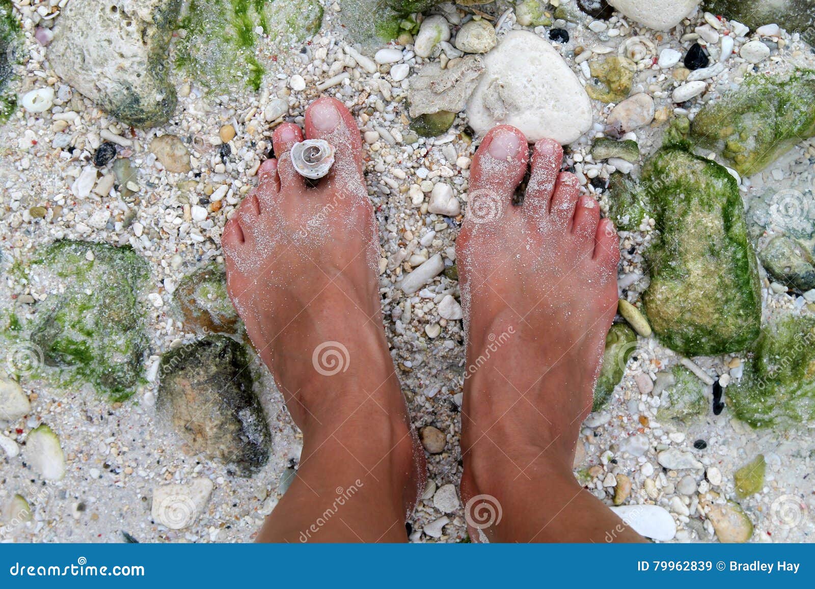 Lady S Feet on a Shell Beach, Boracay Island, Philippines Stock Image ...