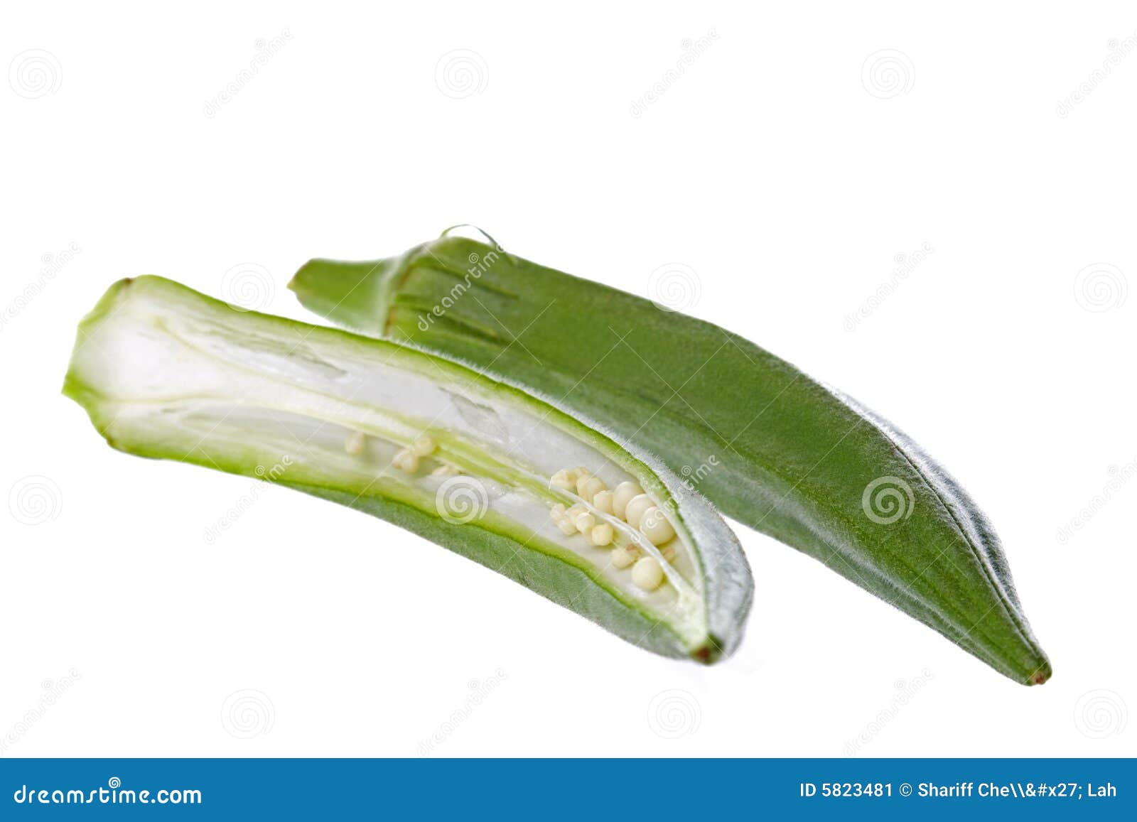 Lady s Fingers Isolated stock image. Image of ladies, green - 5823481