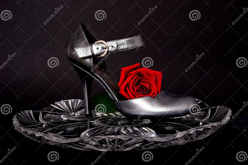 Lady s Shoe and rose stock photo. Image of flower, celebration - 43337980