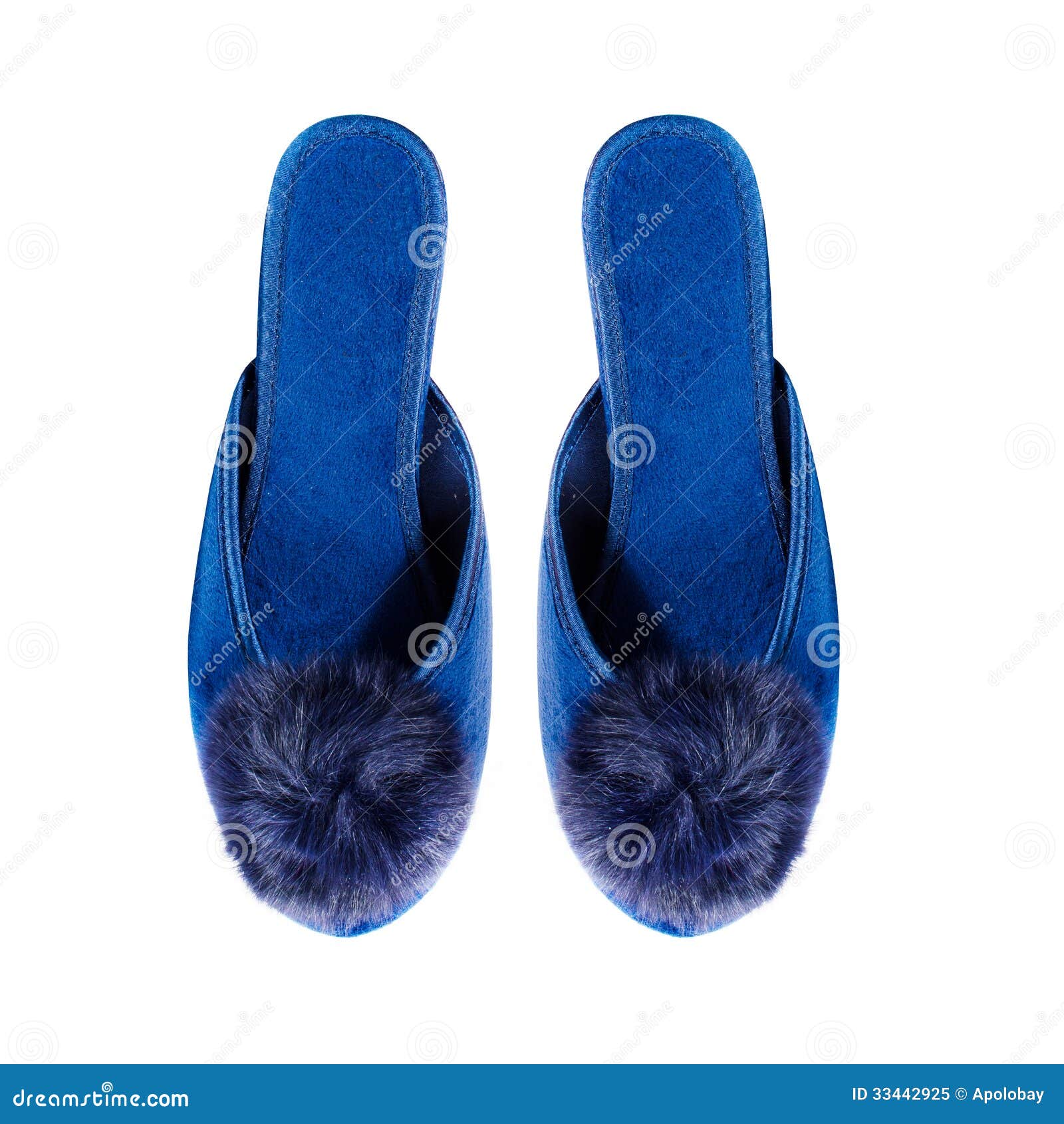 Lady S Slippers Isolated on White Background Stock Image - Image of ...