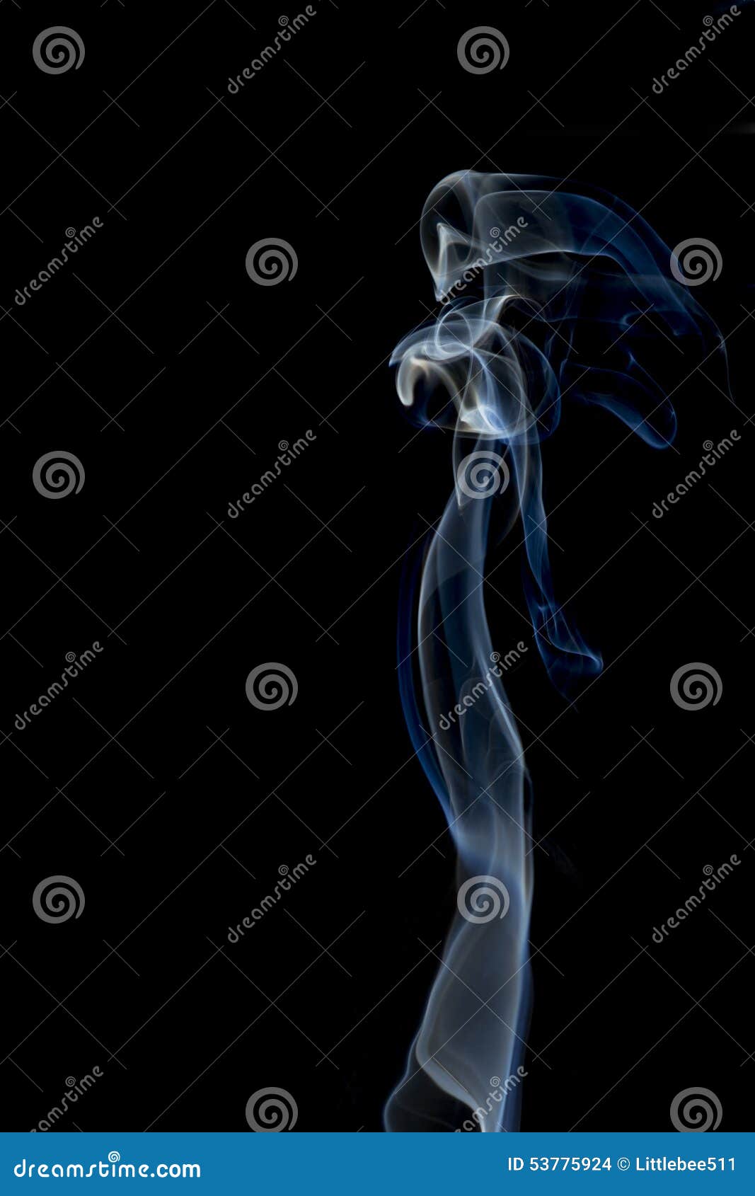 Lady smoke stock photo. Image of black, woman, curve - 53775924