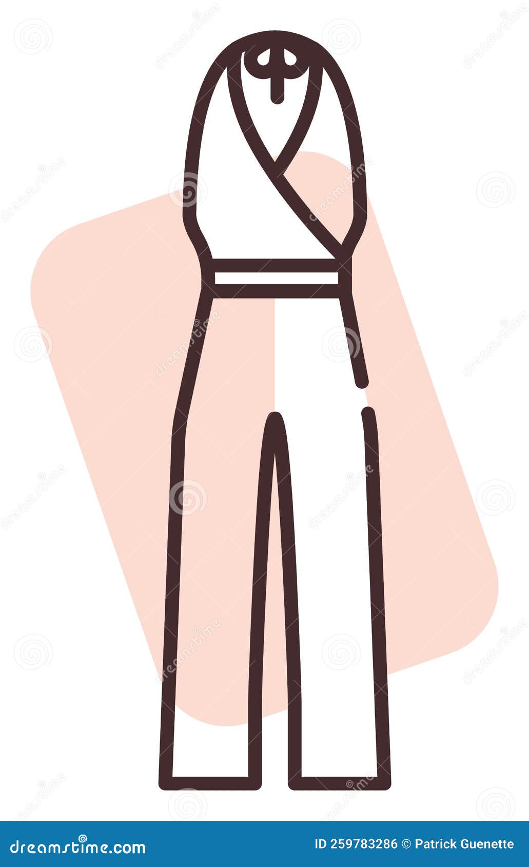 Lady suit, icon stock vector. Illustration of modern - 259783286