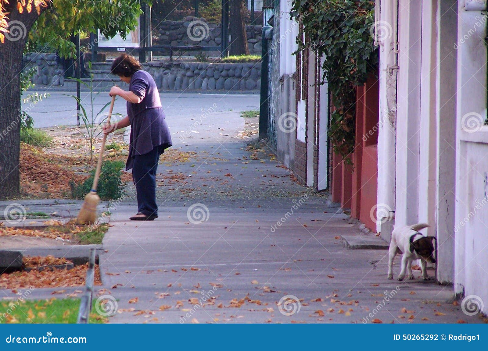 Lady sweeping editorial photography. Image of leaves - 50265292