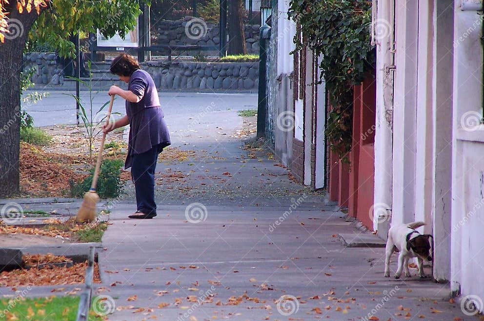 Lady sweeping editorial photography. Image of leaves - 50265292