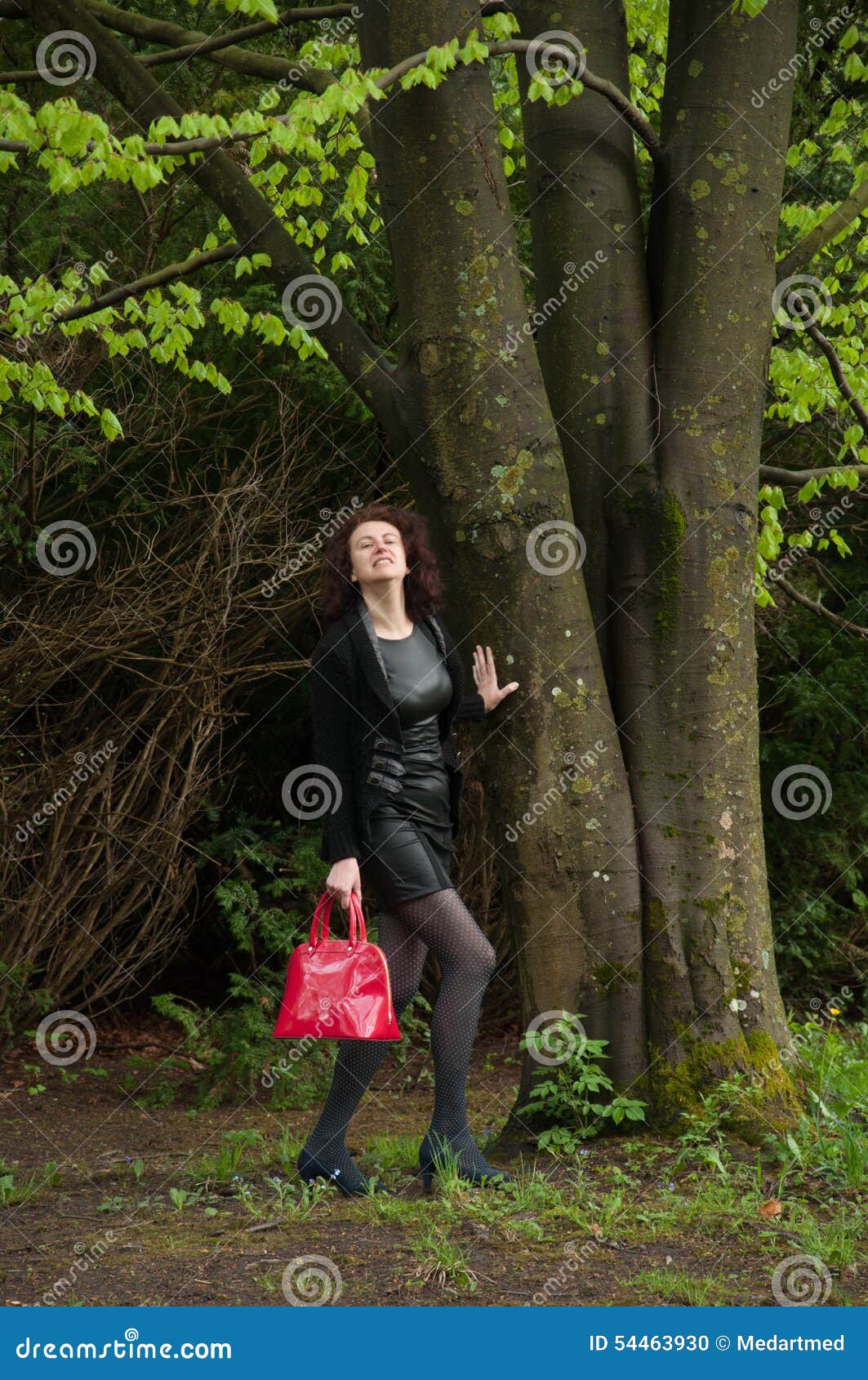 Lady and trees stock photo. Image of beauty, horizontal - 54463930