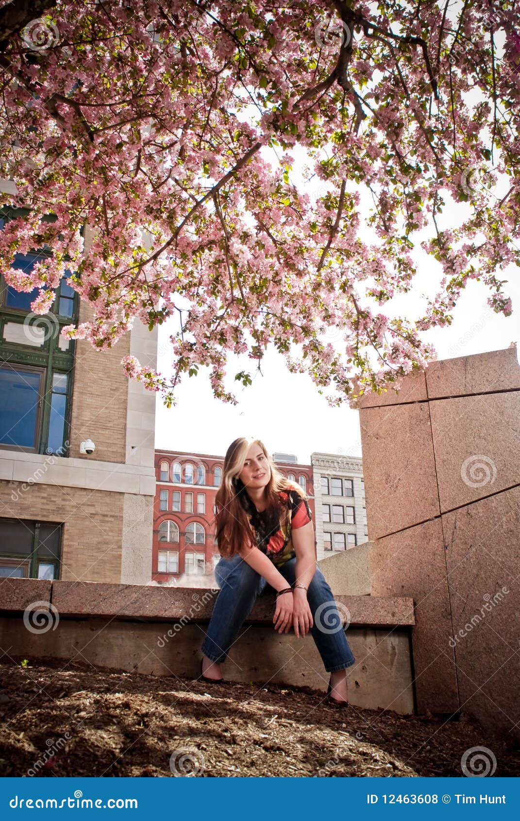 Lady under tree stock photo. Image of tree, pink, vertical - 12463608