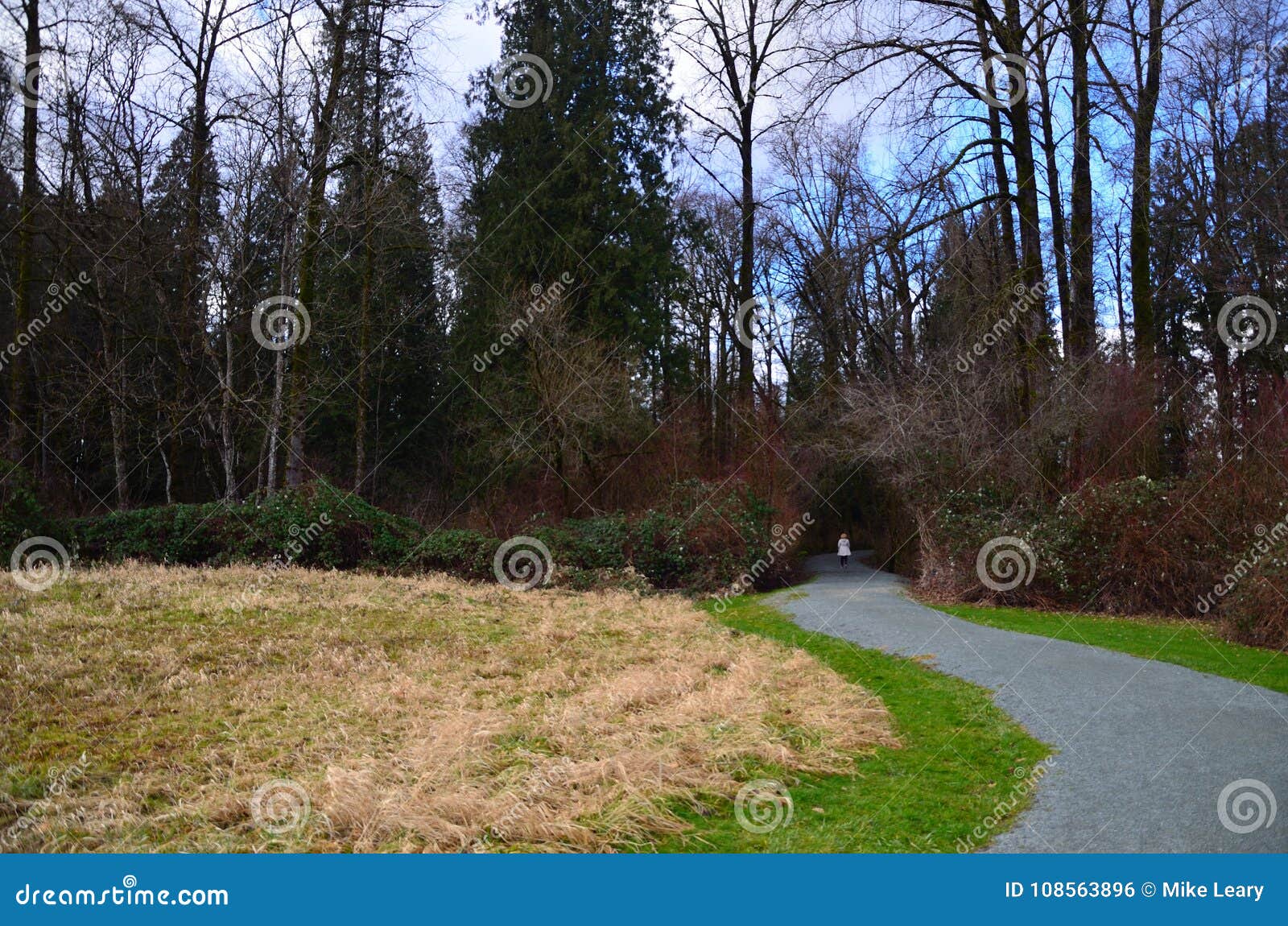A lonely walk stock photo. Image of walkways, canada - 108563896
