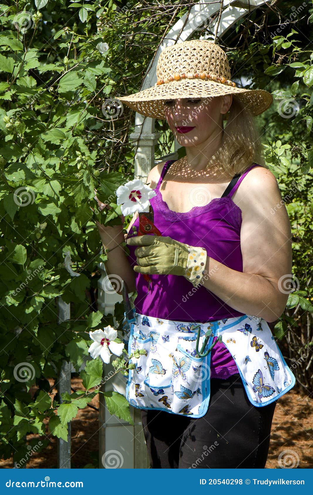Lady works in Garden stock photo. Image of care, beautiful - 20540298